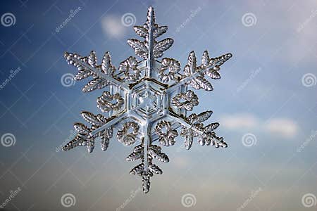 Snowflake stock photo. Image of white, snowflakes, cold - 243182