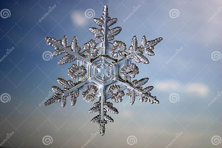 Snowflake stock photo. Image of white, snowflakes, cold - 243182