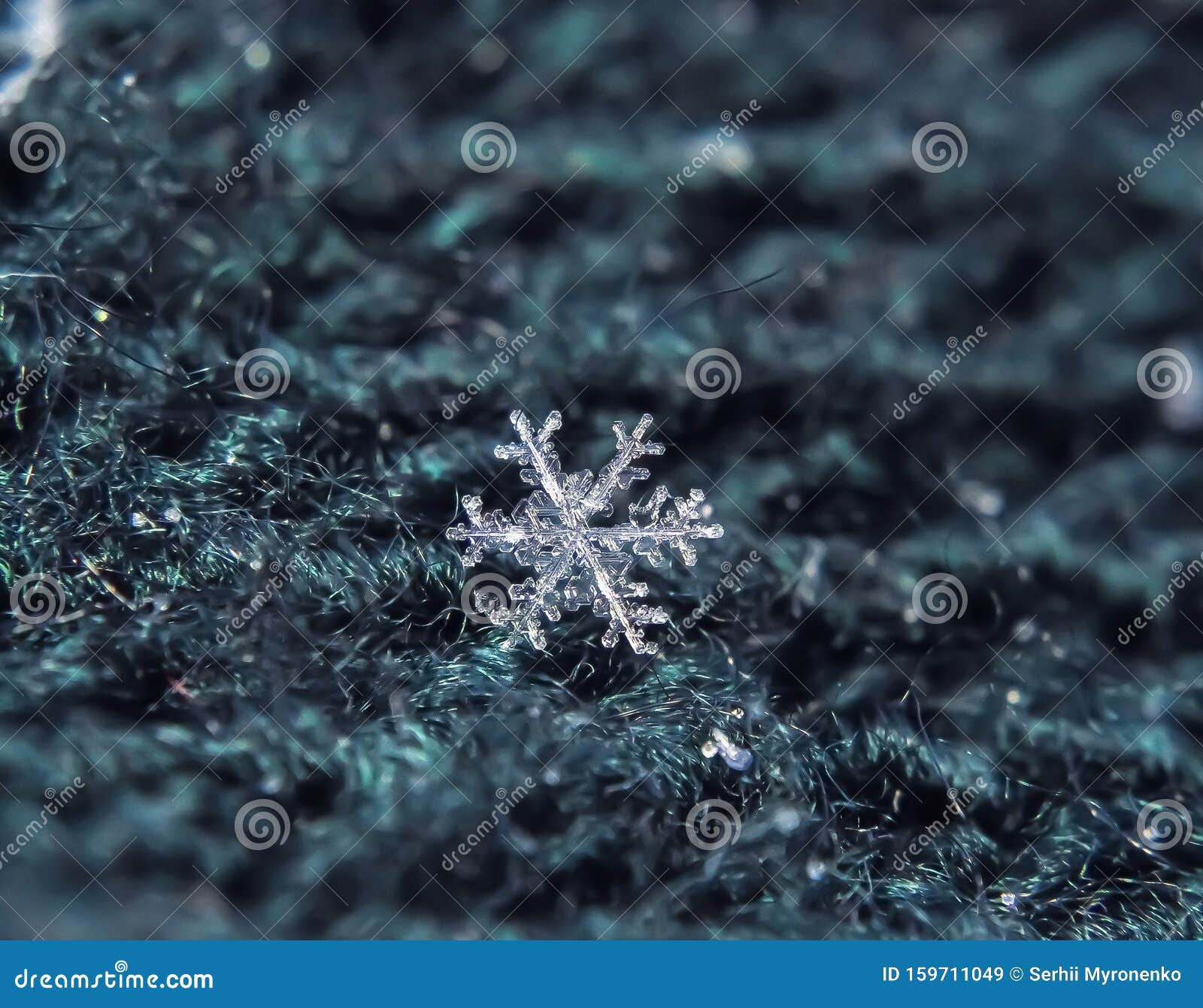 Snowflake Beautiful on the Grey Winter Background Stock Image - Image ...