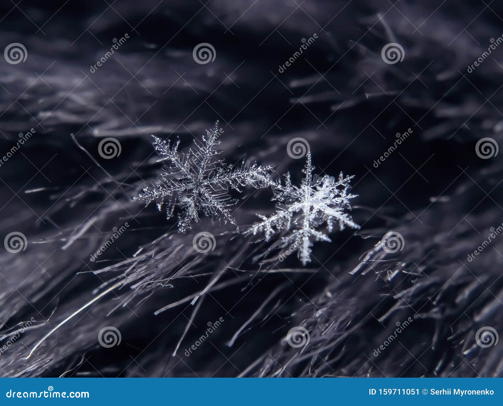 Snowflake Beautiful on the Grey Winter Background Stock Image - Image ...