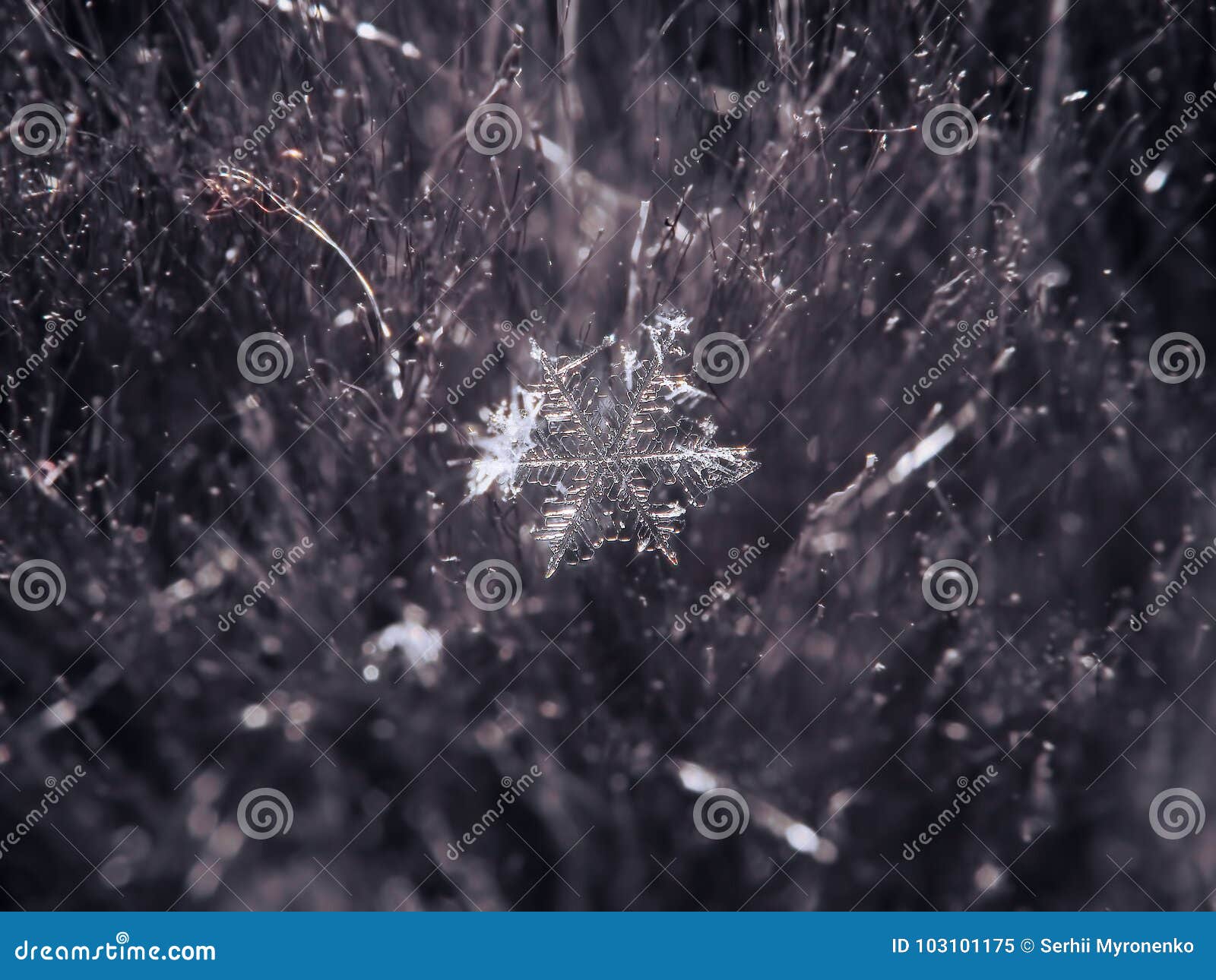 Snowflake Beautifull on the Grey Background Stock Image - Image of ...