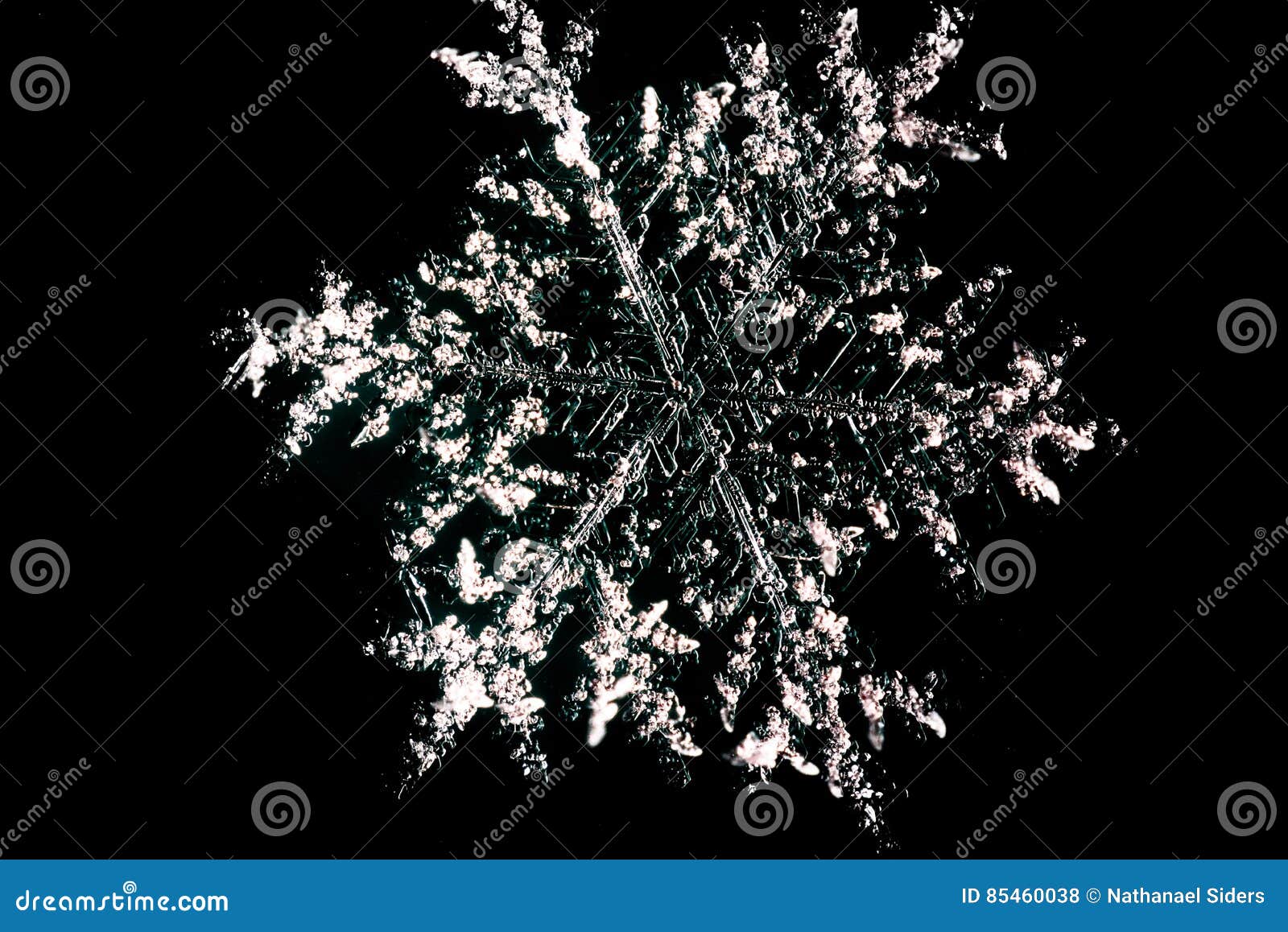 Snowflake with Black Background Stock Photo - Image of flake, shape ...