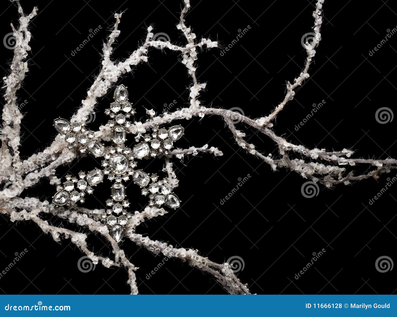 Snowflake in Branch stock photo. Image of christmas, snow - 11666128
