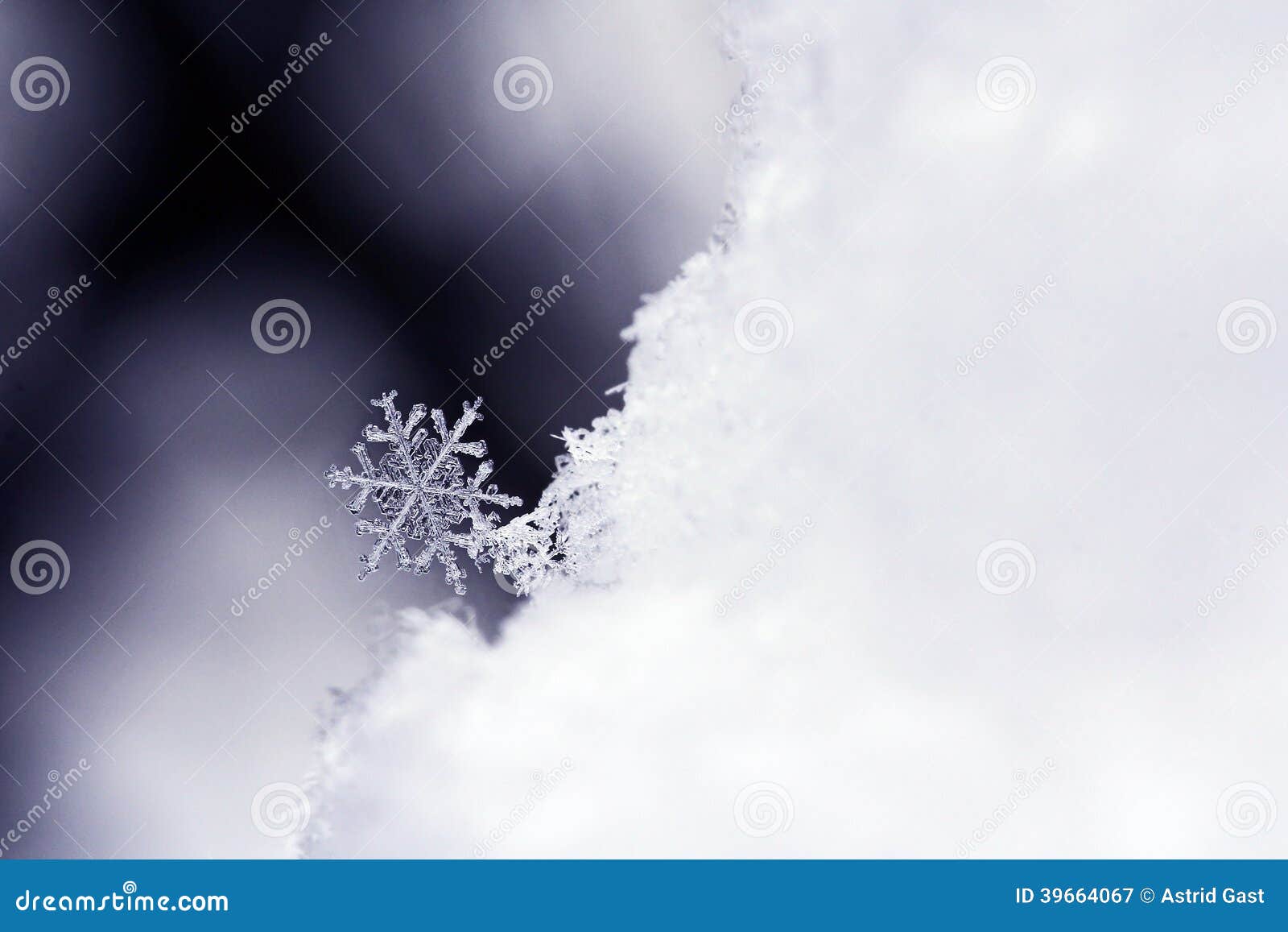 Snowflake stock image. Image of nature, snowing, frozen - 39664067