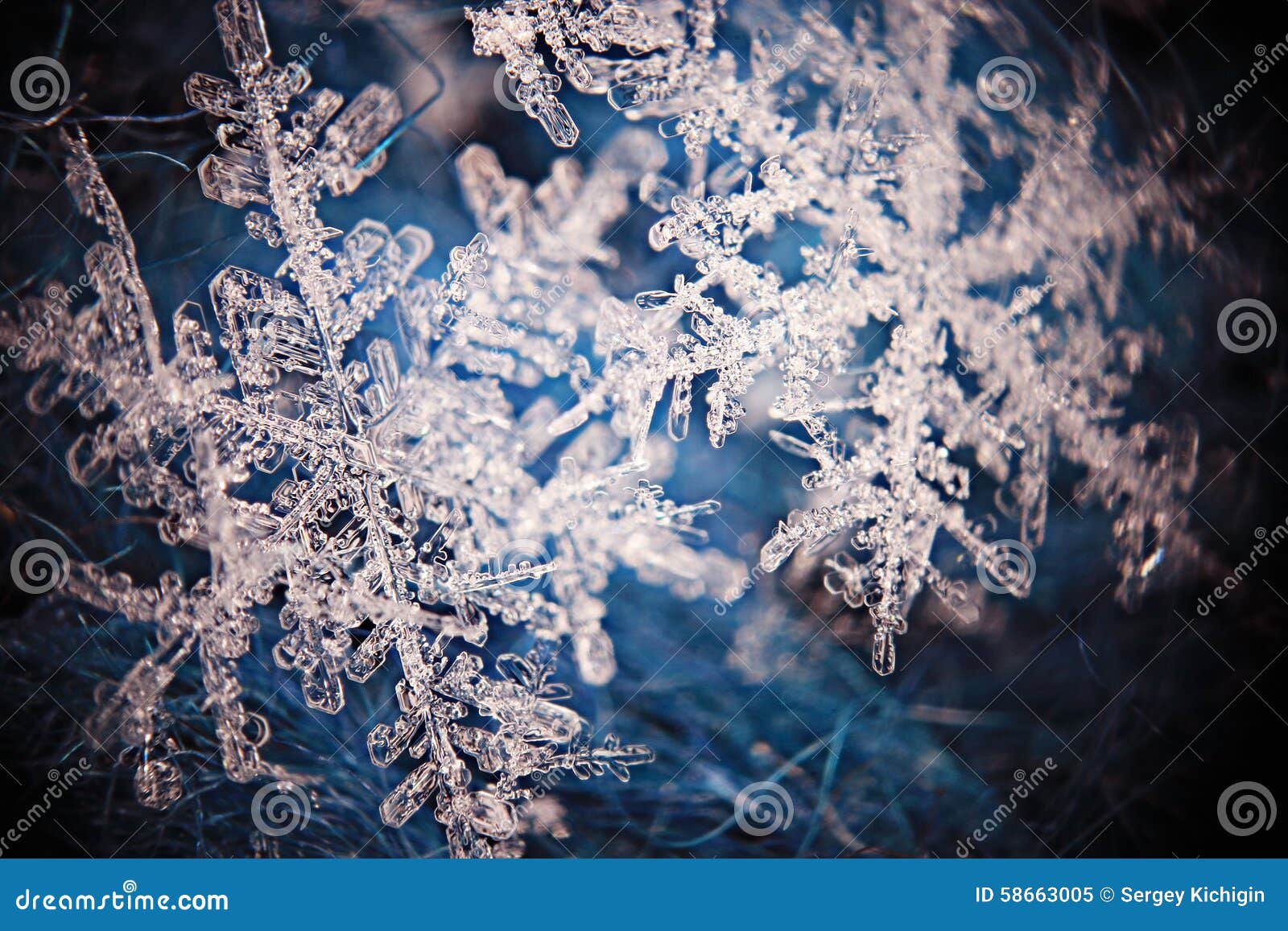 Snowflake crystal stock image. Image of abstract, cold - 58663005
