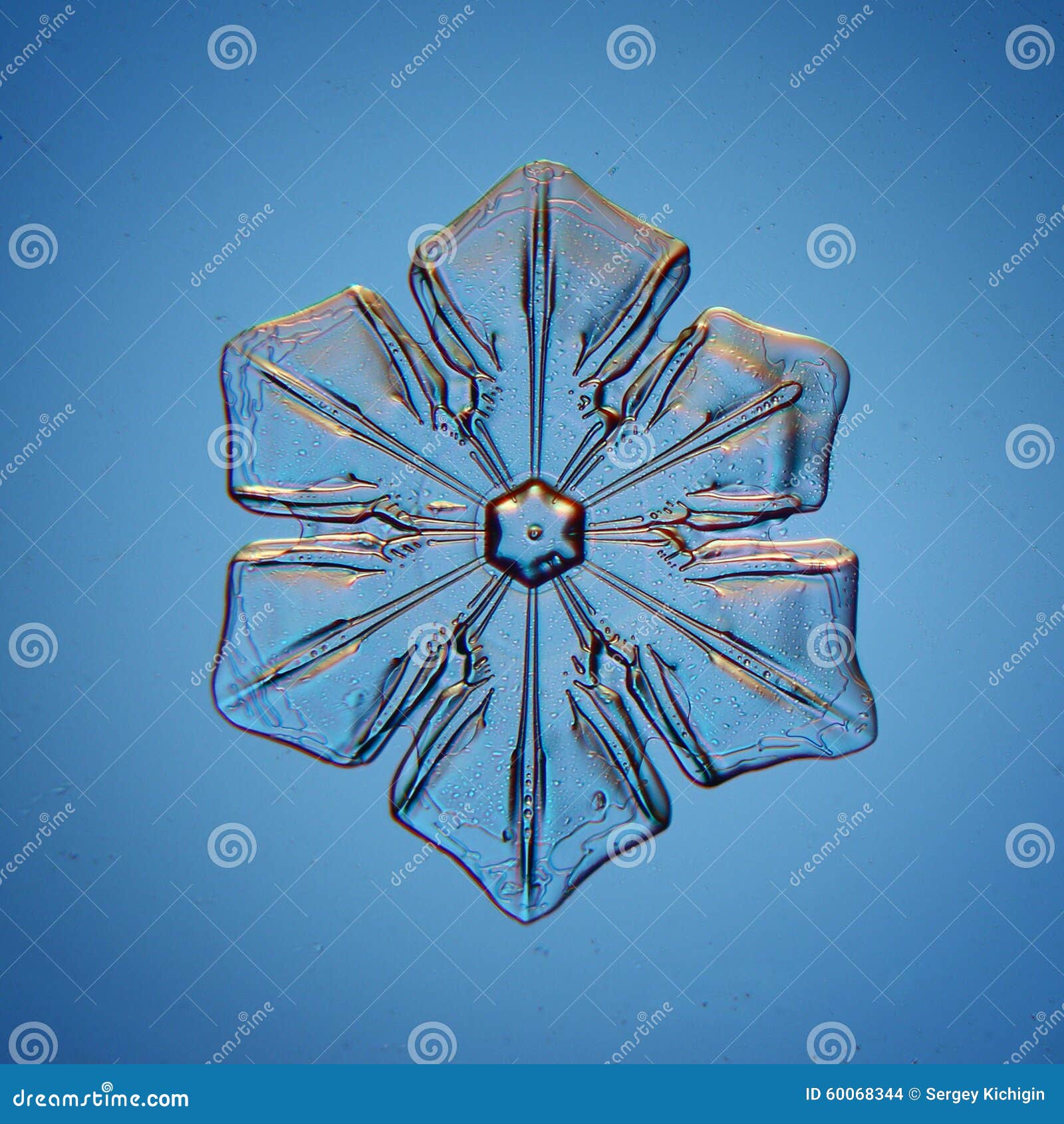 Snowflake crystal stock photo. Image of christmas, alaska - 60068344