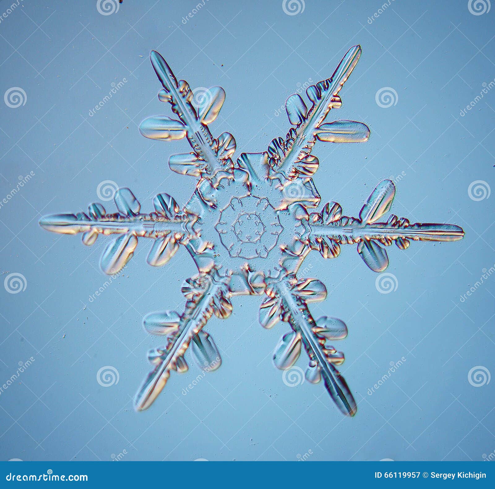Snowflake crystal stock image. Image of cold, natural - 66119957
