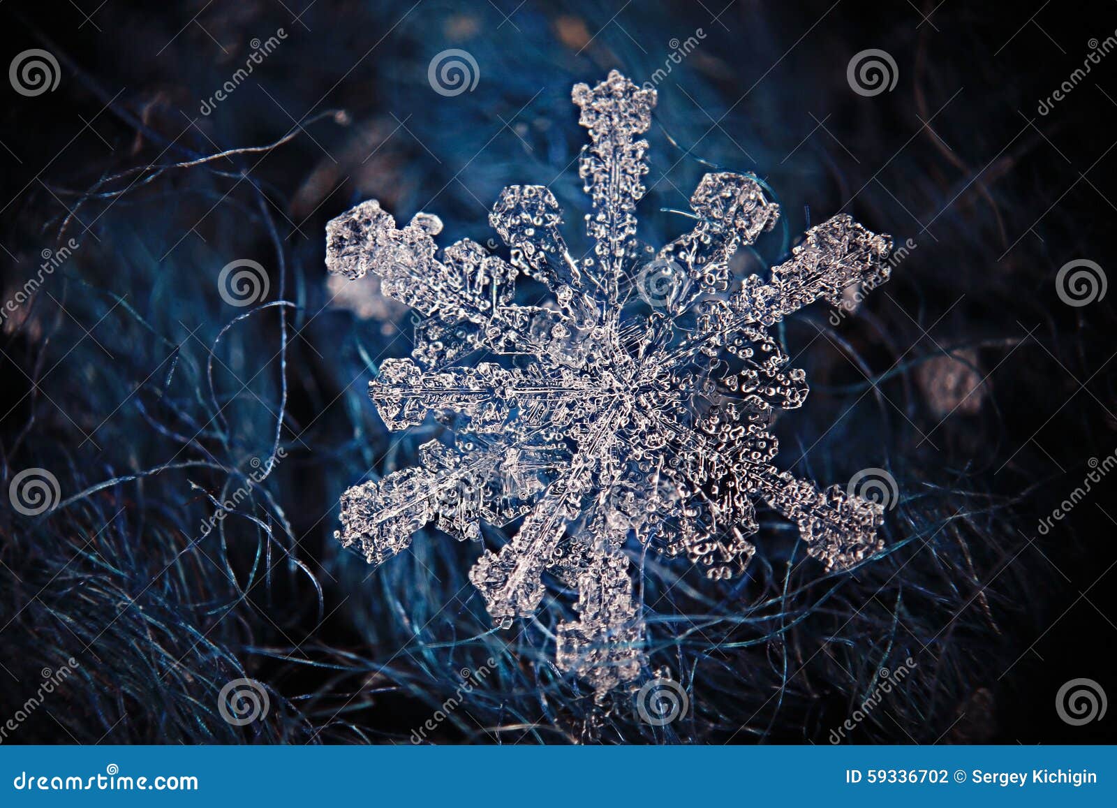 Snowflake crystal stock photo. Image of cold, holiday - 59336702