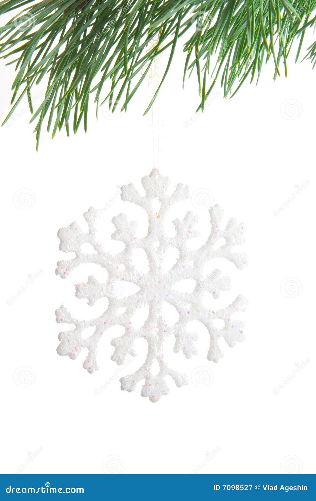 Snowflake on fir branch stock image. Image of decoration - 7098527