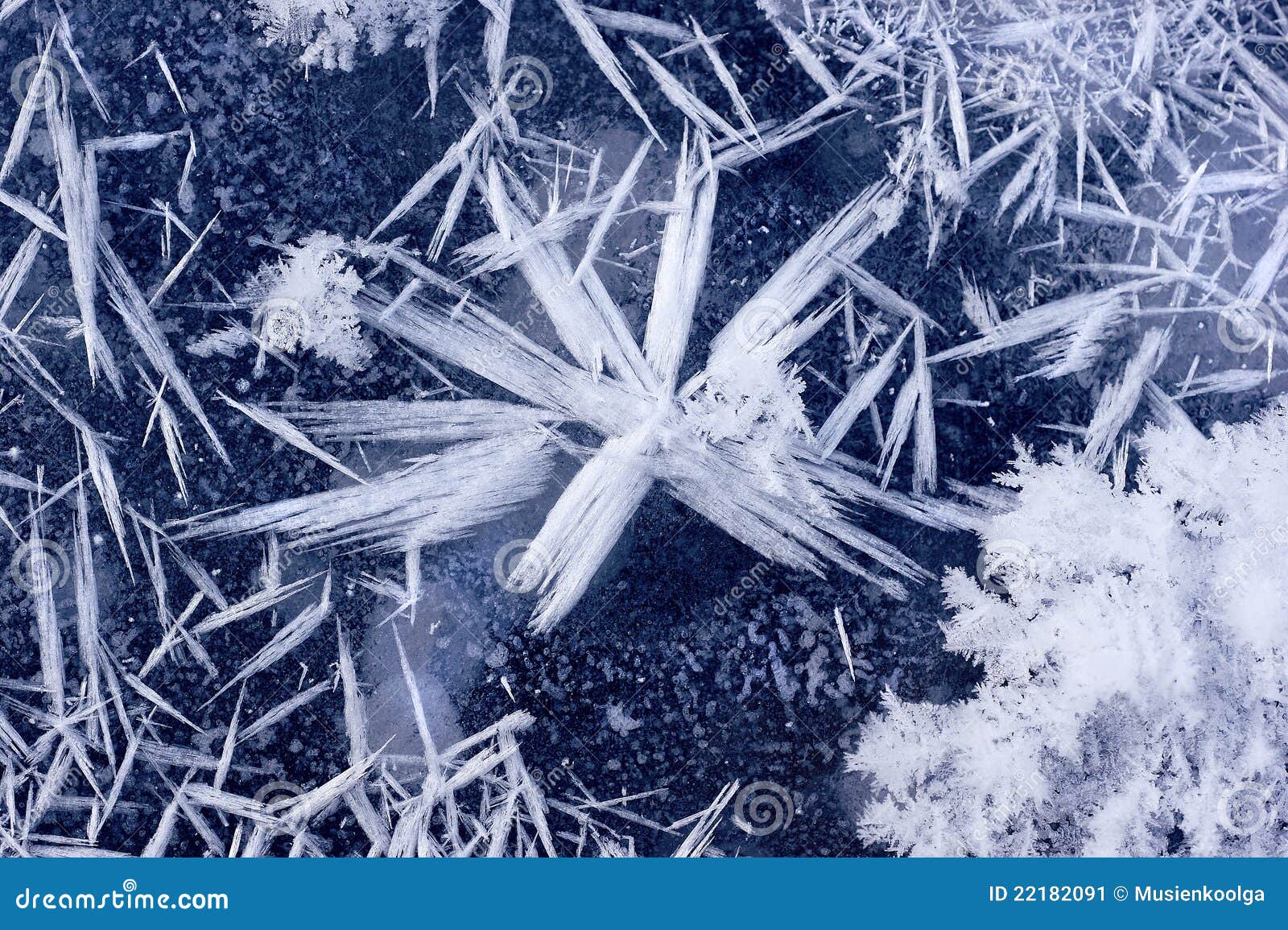 Snowflake on the ice. stock image. Image of holiday, star - 22182091