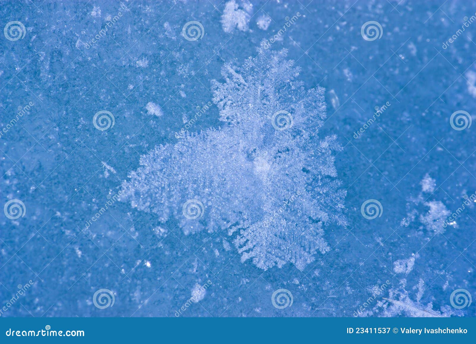 Snowflake on the ice stock image. Image of macro, nature - 23411537