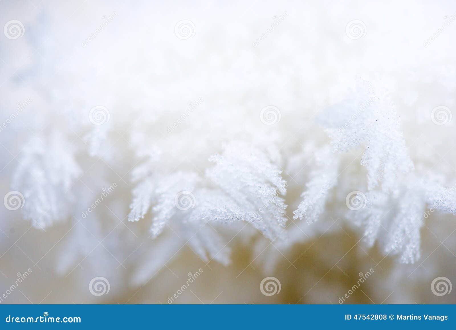 Snowflake and Ice Crystal Closeup Stock Photo - Image of country, river ...