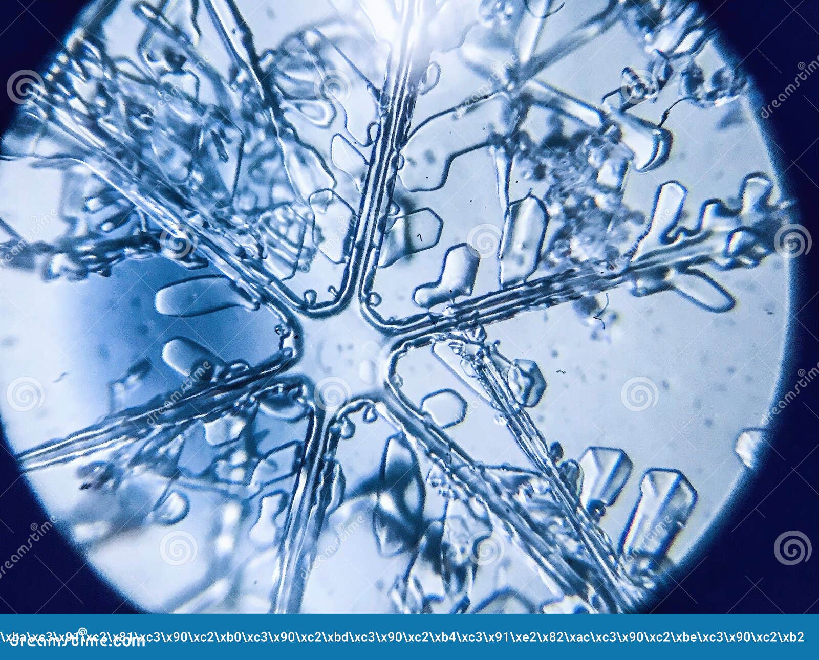 Ice Under Microscope