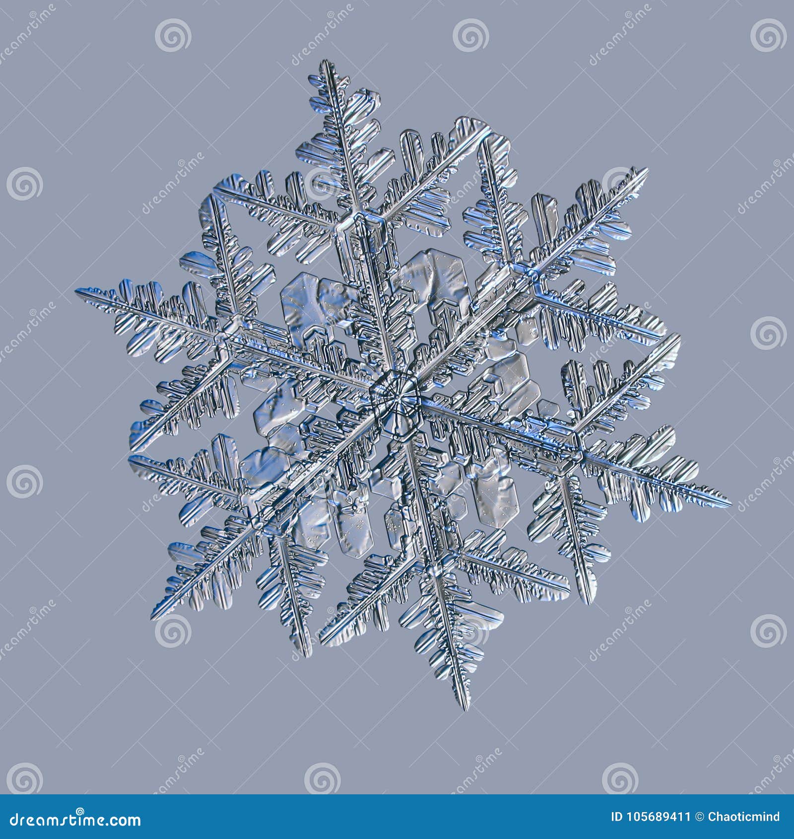 Real Snowflake Isolated on Uniform Blue Background Stock Image - Image ...