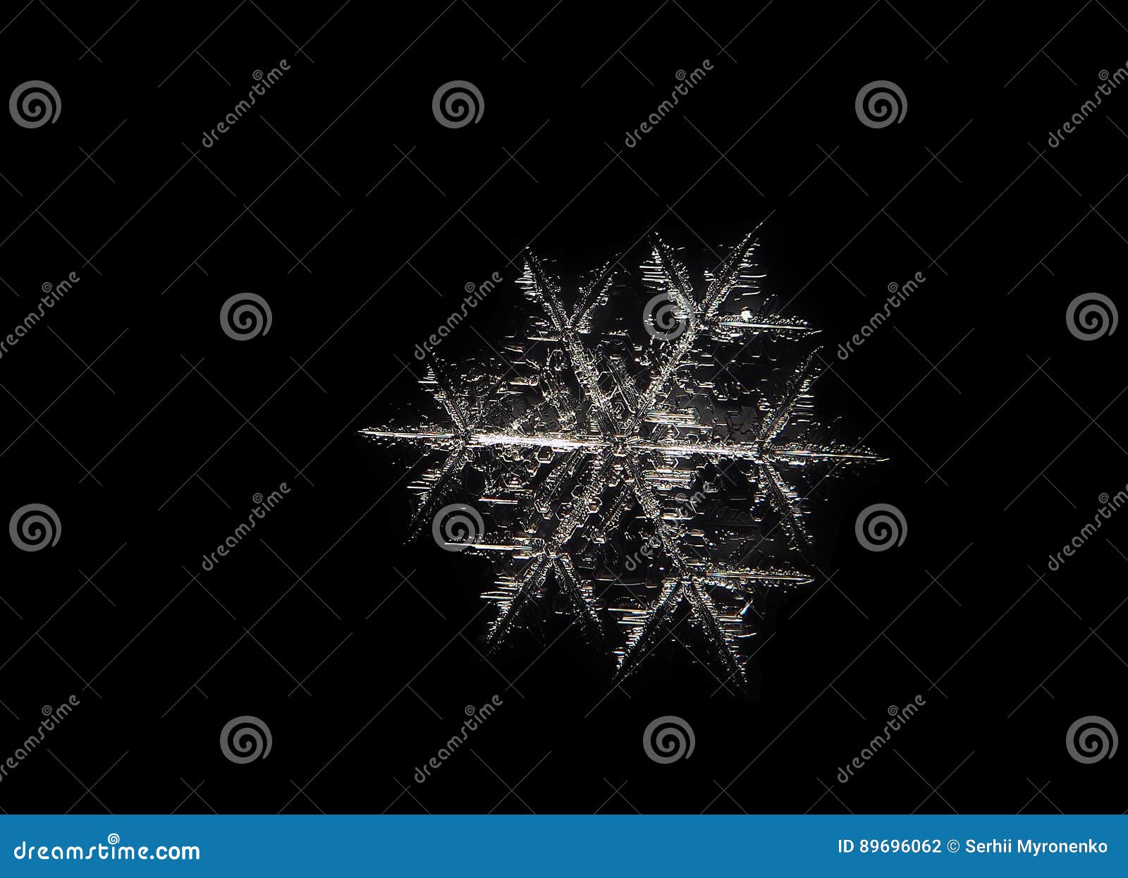 Snowflake Large Close Up Isolated at the Black Stock Photo - Image of ...