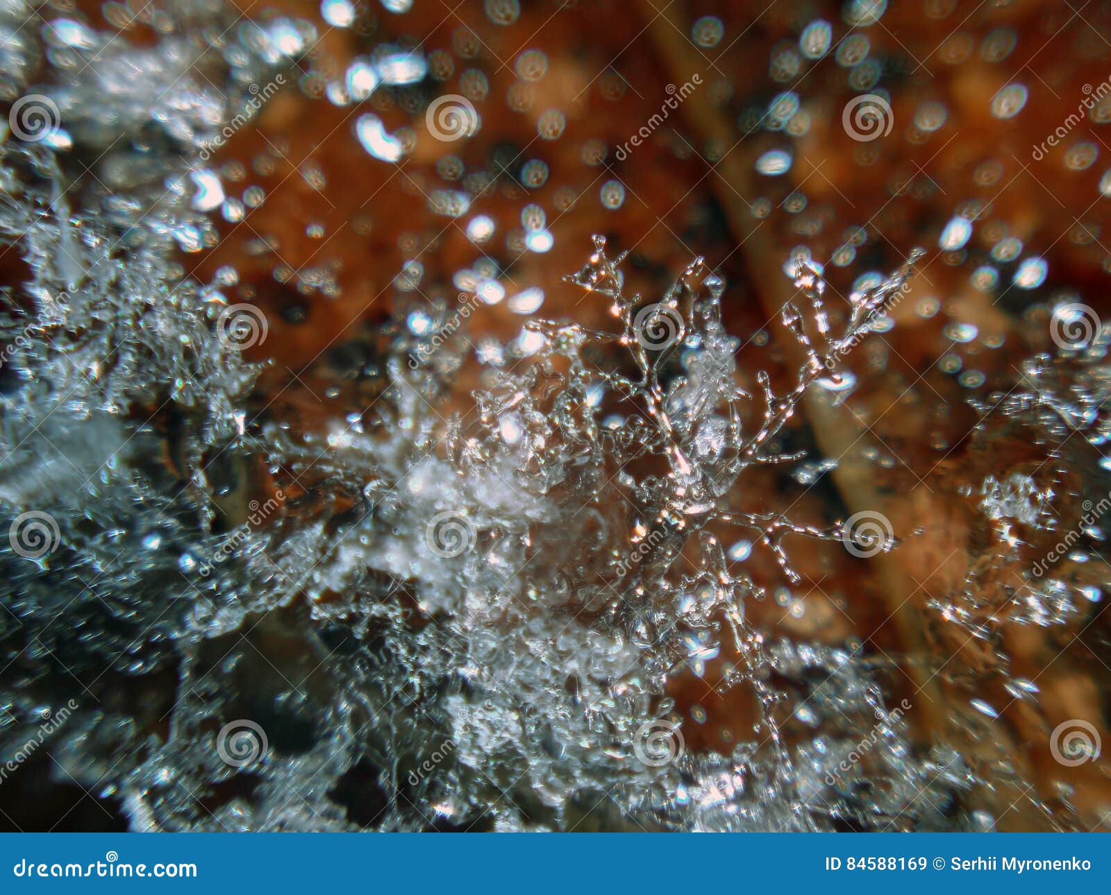 Snowflake Melting on Ground Stock Image - Image of beautiful ...