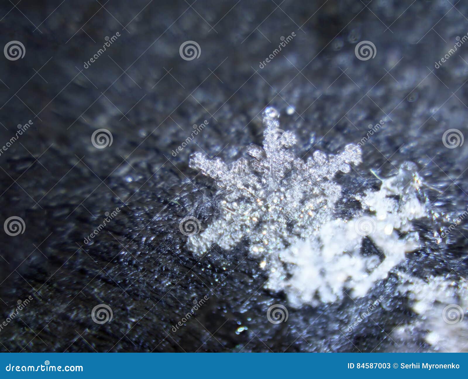 Snowflake Melting at the Sun on Dark Blue Background Stock Image ...