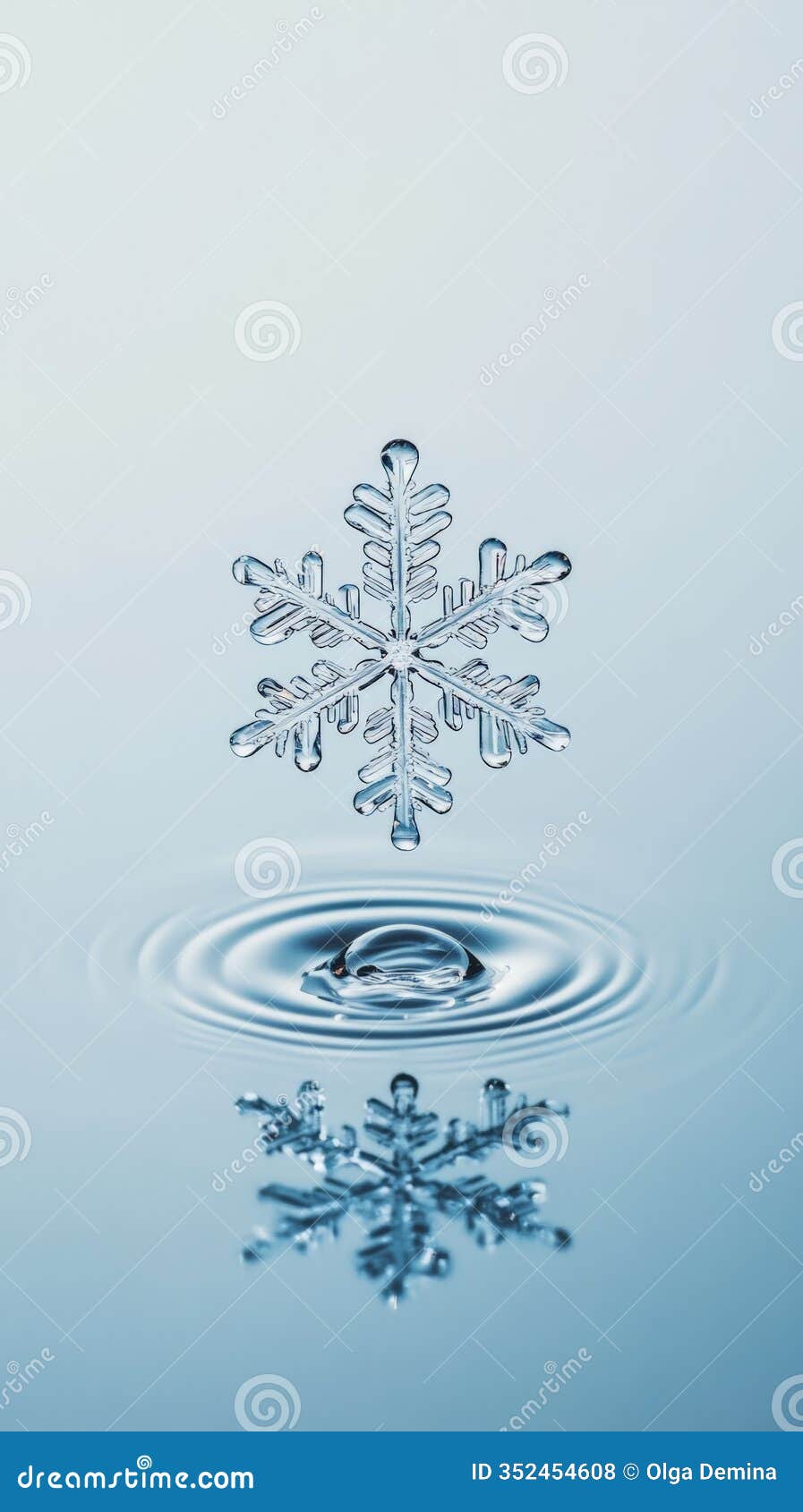 Snowflake Melting on Water Surface Creating Ripples and Reflection ... Snowflake Melting on Water Surface Creating Ripples and Reflection ...