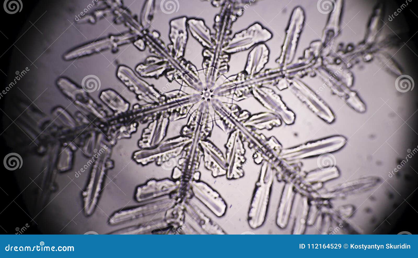 Snowflake in microscope stock video. Video of strange - 112164529