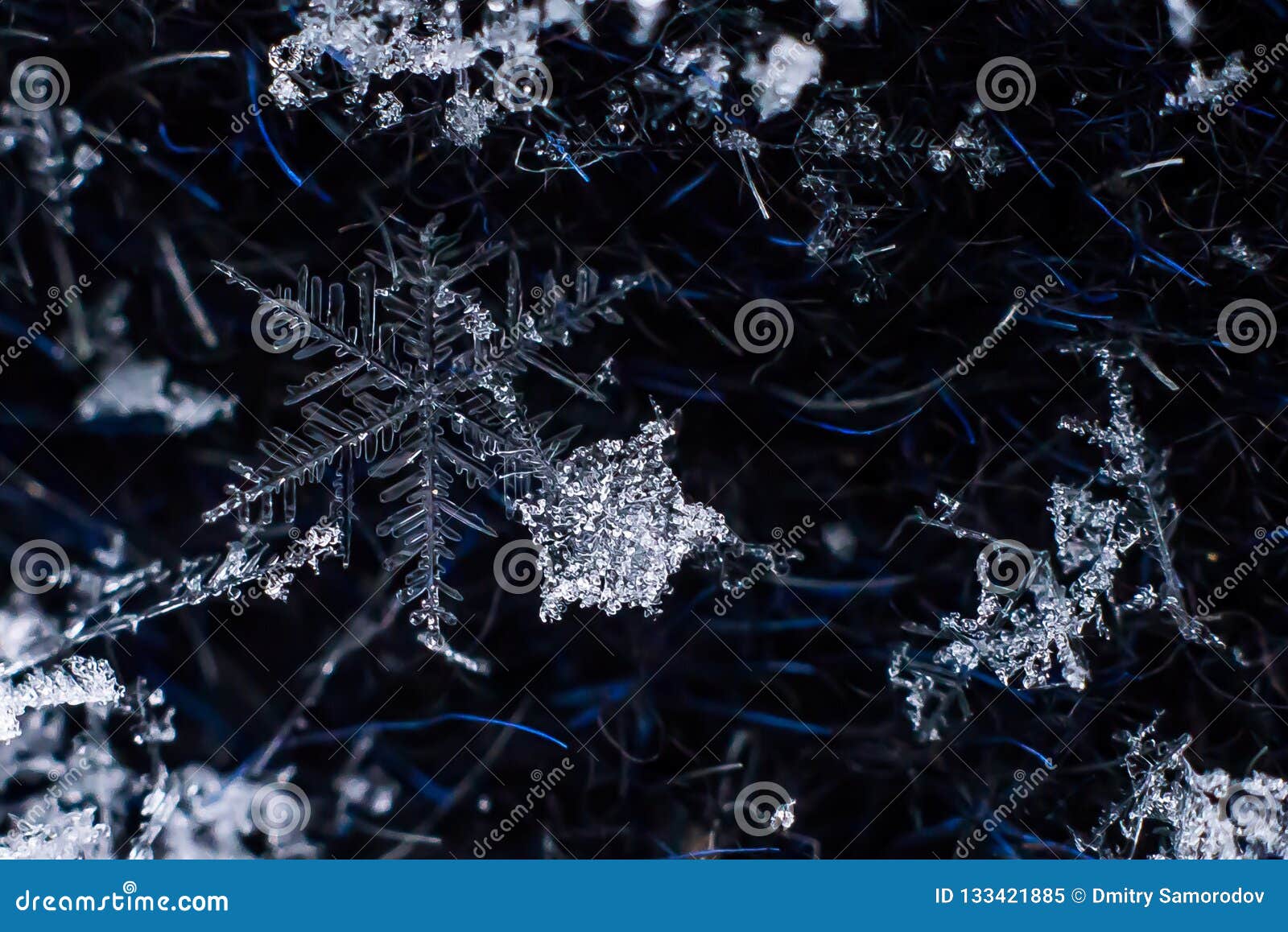 Snowflake Natural Macro Closeup Shot Stock Image - Image of flake, real ...