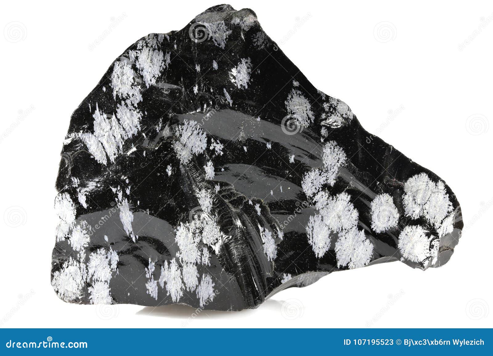 Snowflake obsidian stock image. Image of rough, cristobalite - 107195523