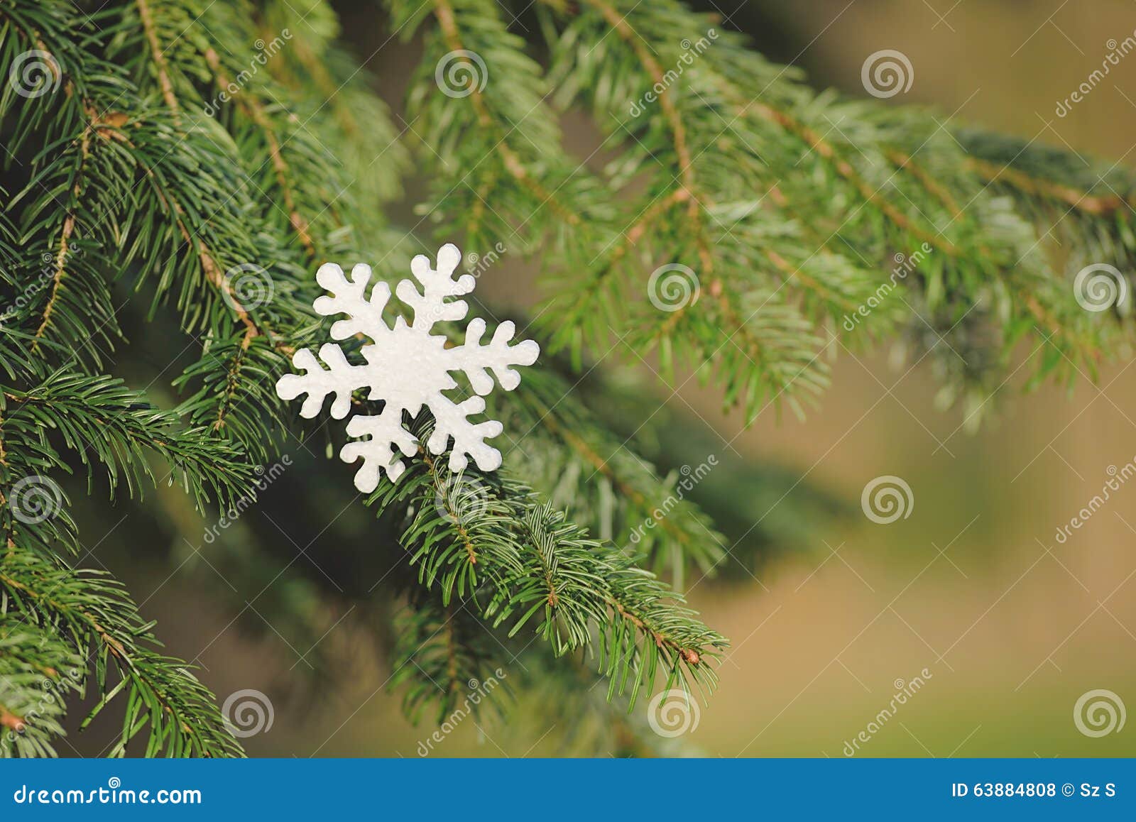 Snowflake on a pine branch stock photo. Image of spruce - 63884808