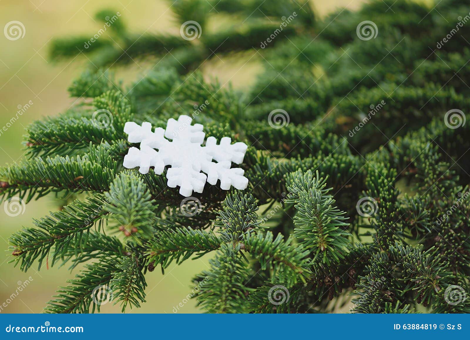 Snowflake on a pine branch stock image. Image of macro - 63884819