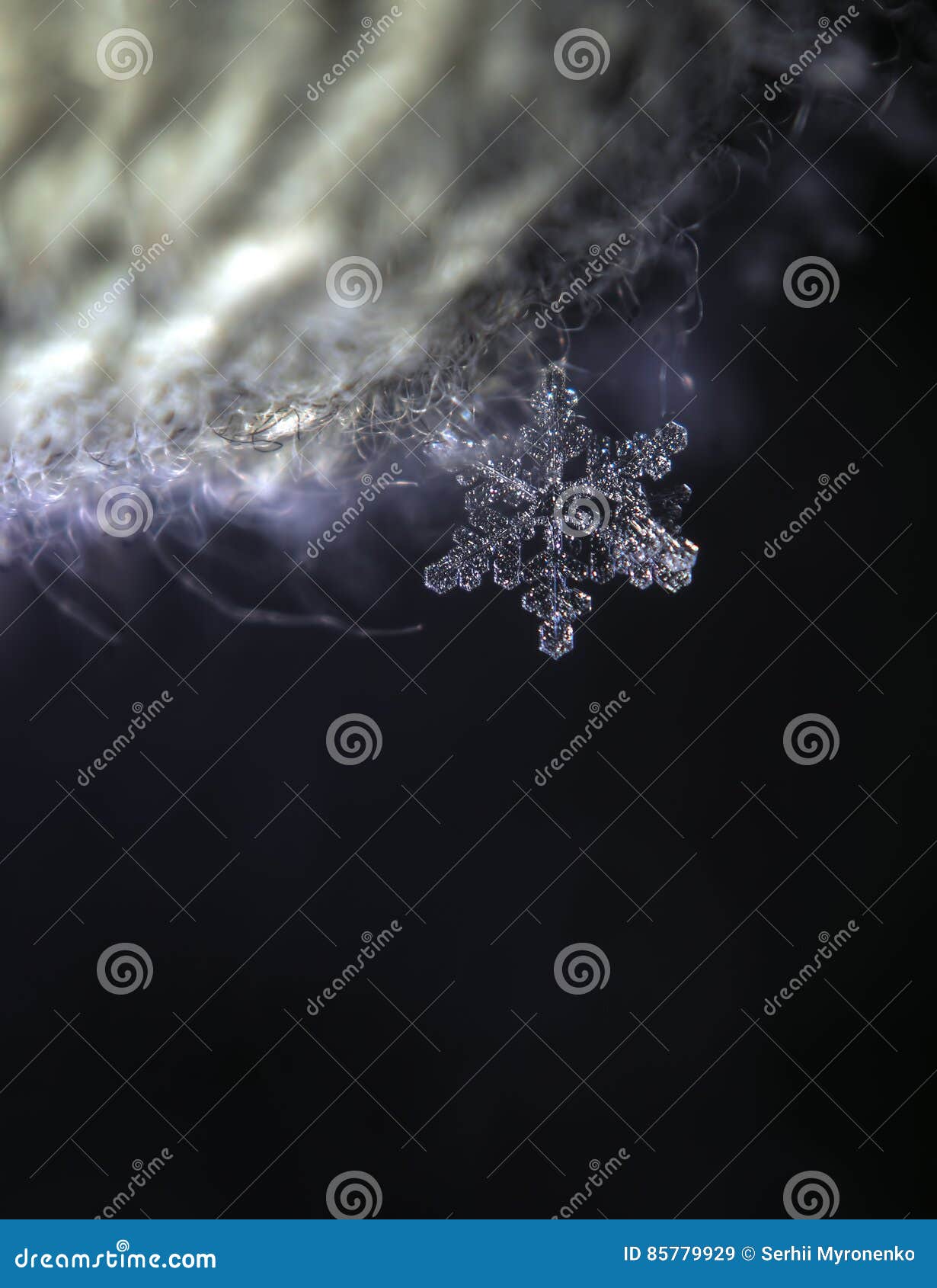Snowflake Shiny Star in Air at the Night Stock Image - Image of frost ...
