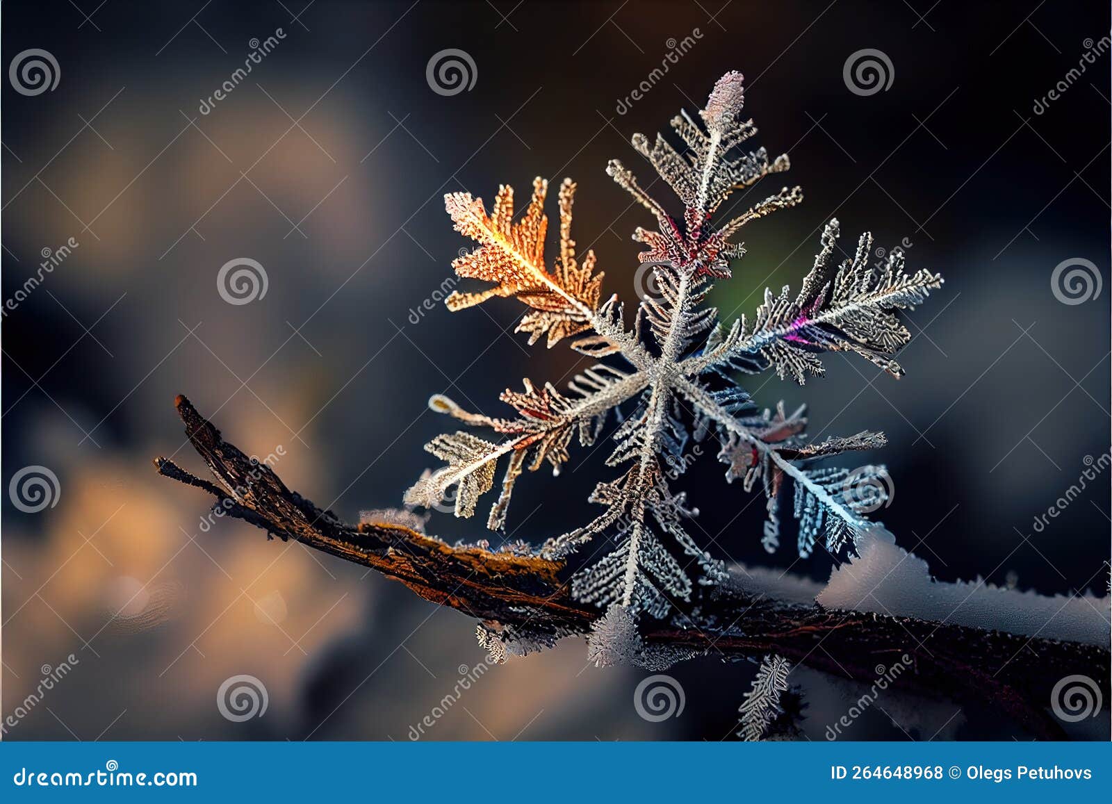 A Snowflake is Shown on a Branch in the Snow with a Dark Background and ...