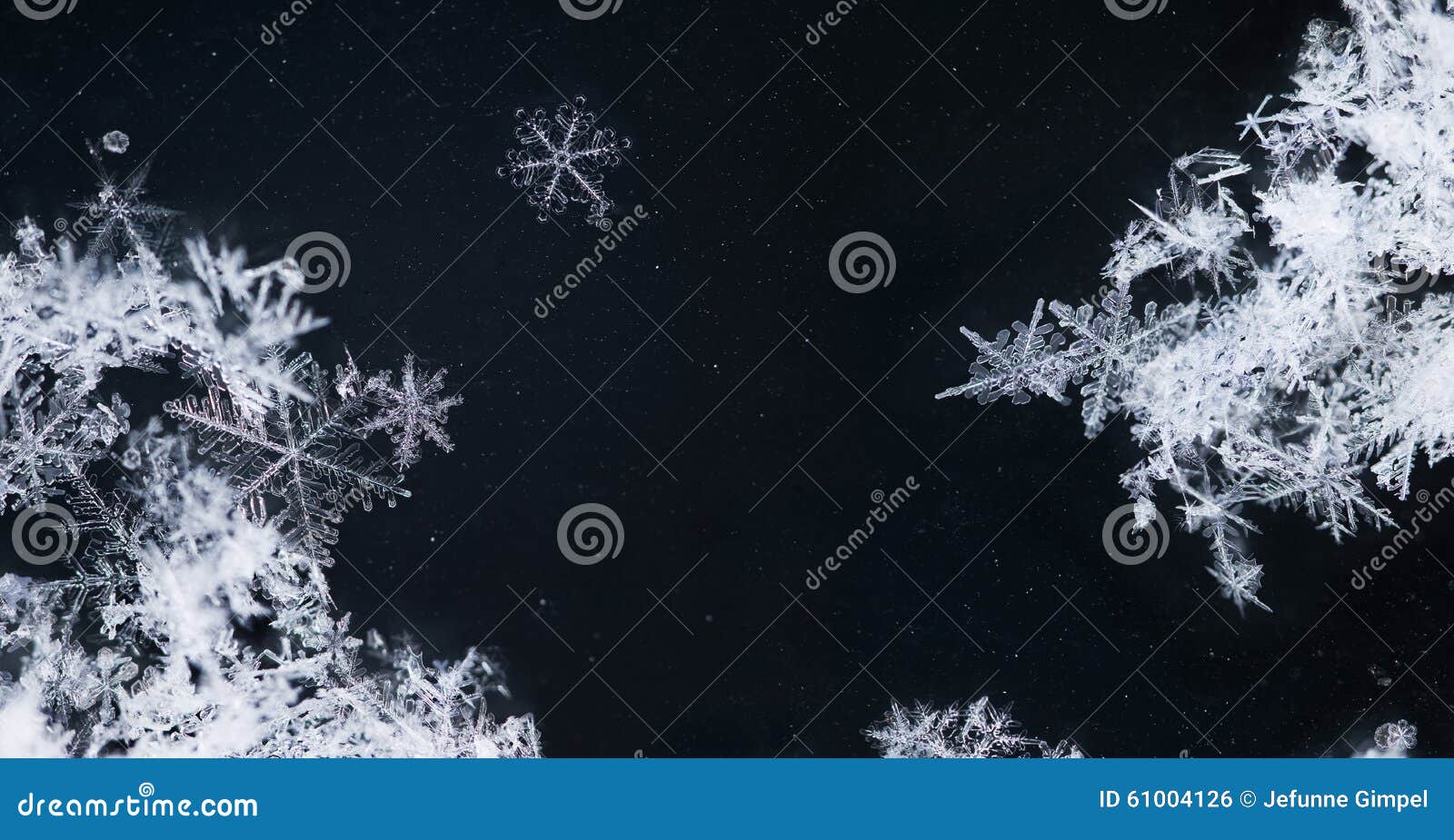 Snowflake Sky stock photo. Image of snow, forecast, flake - 61004126