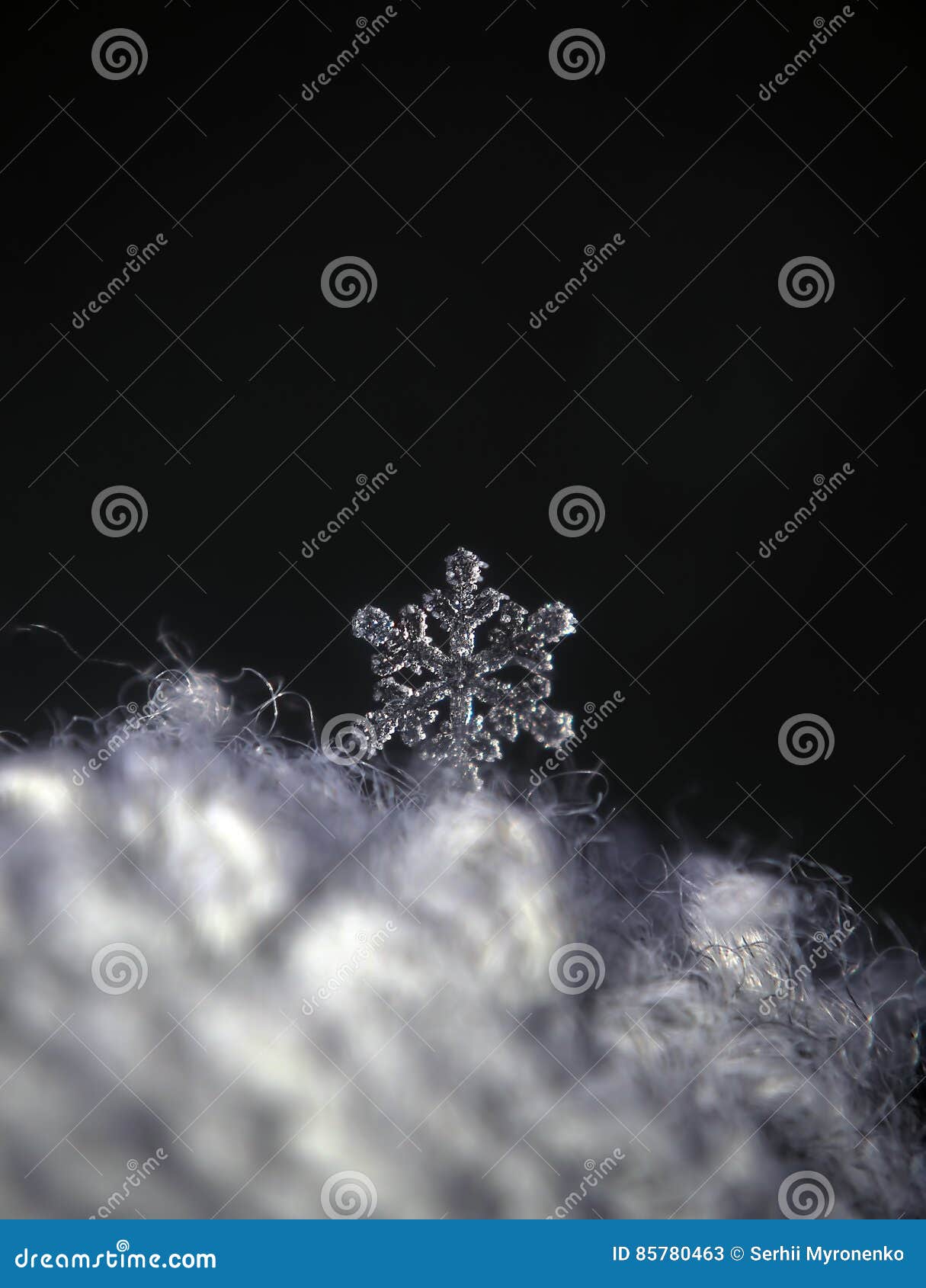 Snowflake Small Shining at Dark Night Stock Image - Image of shining ...