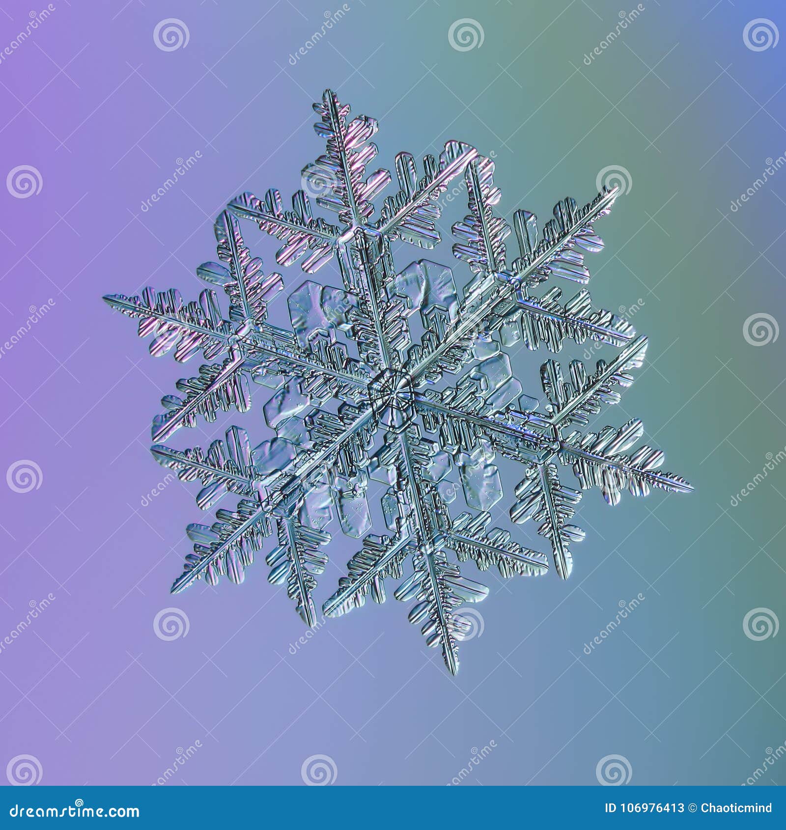 Real Snowflake Glittering on Smooth Gradient Background Stock Image ...