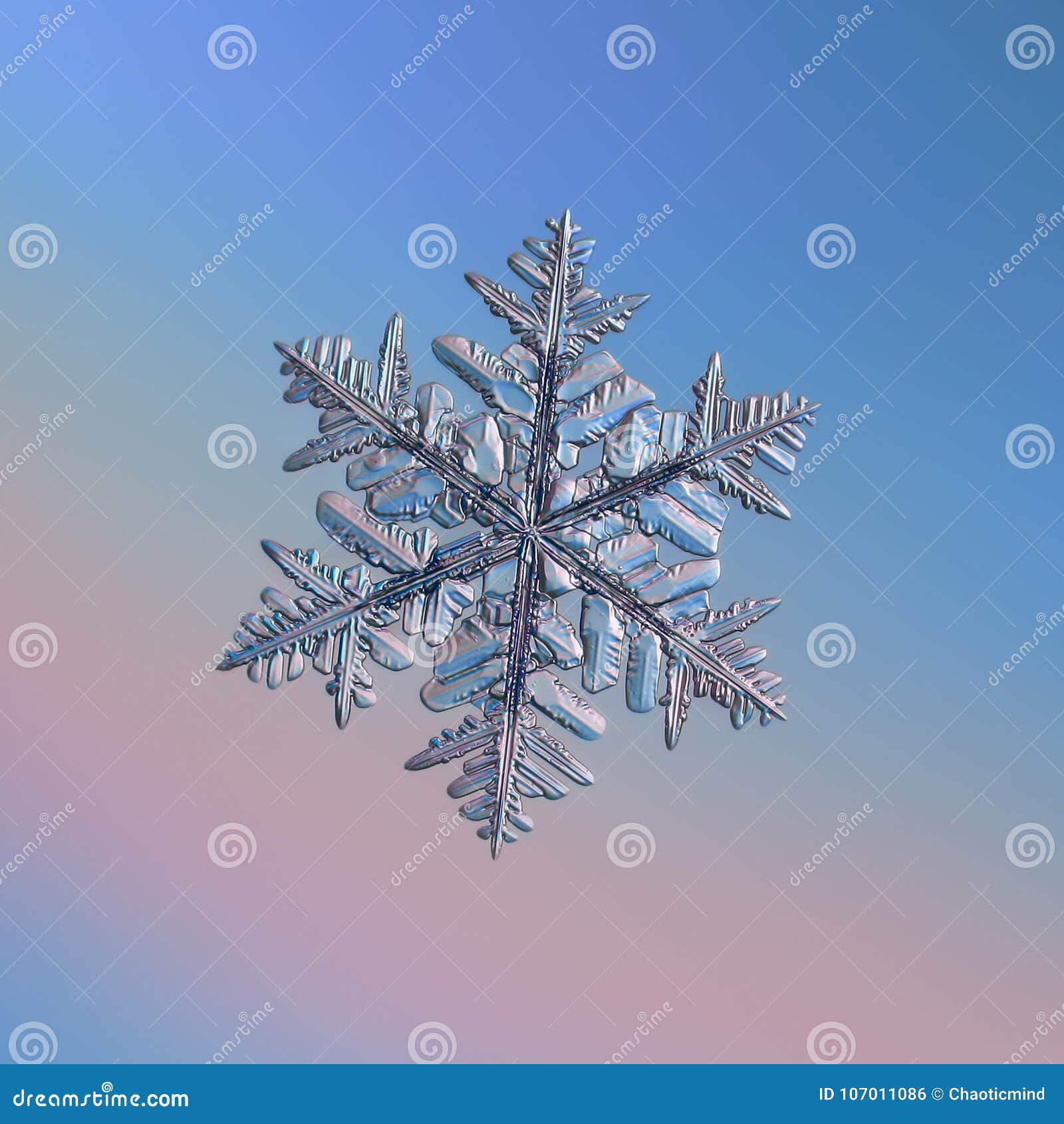 Real Snowflake Glittering on Smooth Gradient Background Stock Photo ...