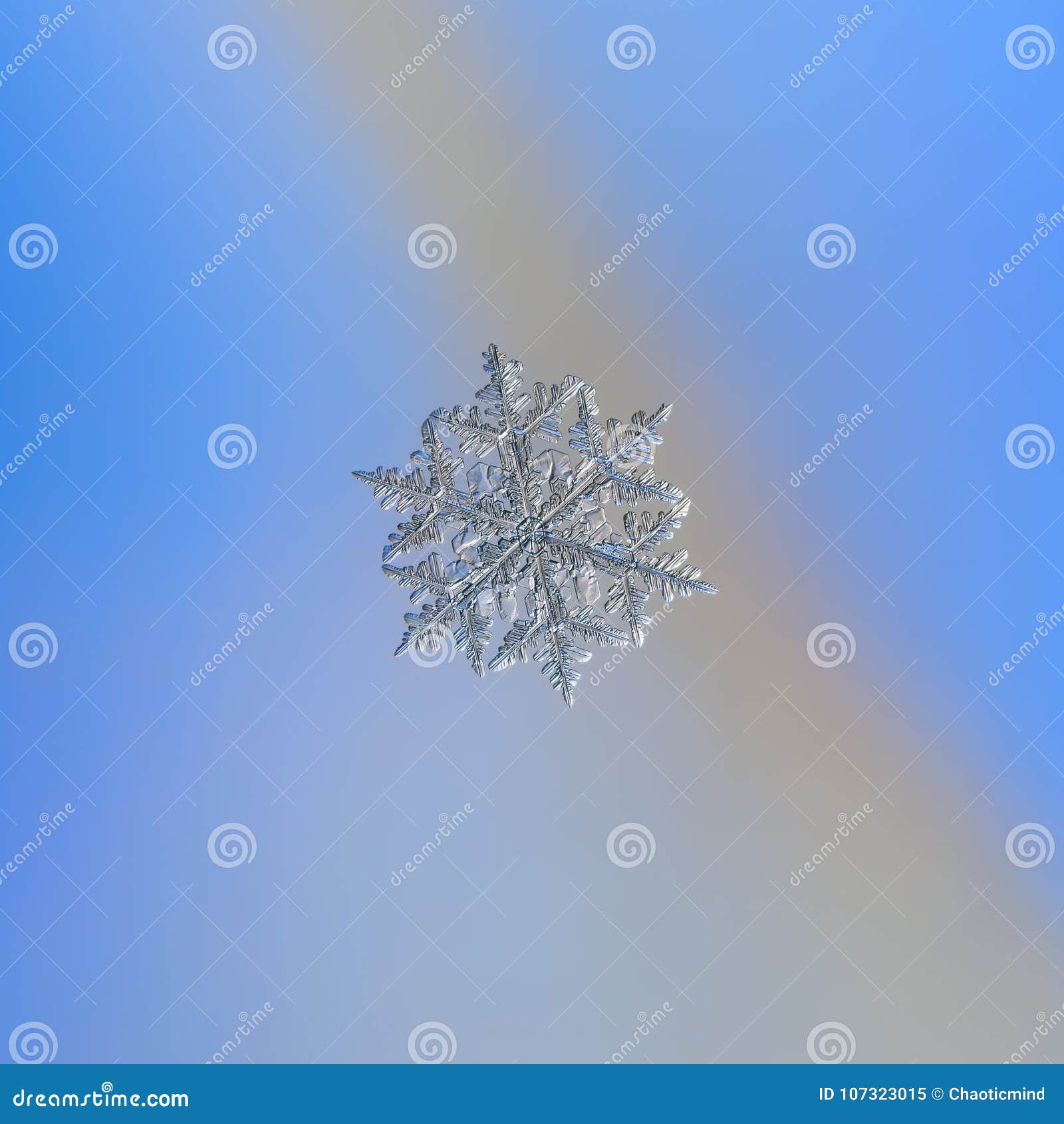 Real Snowflake Glittering on Smooth Gradient Background Stock Image ...
