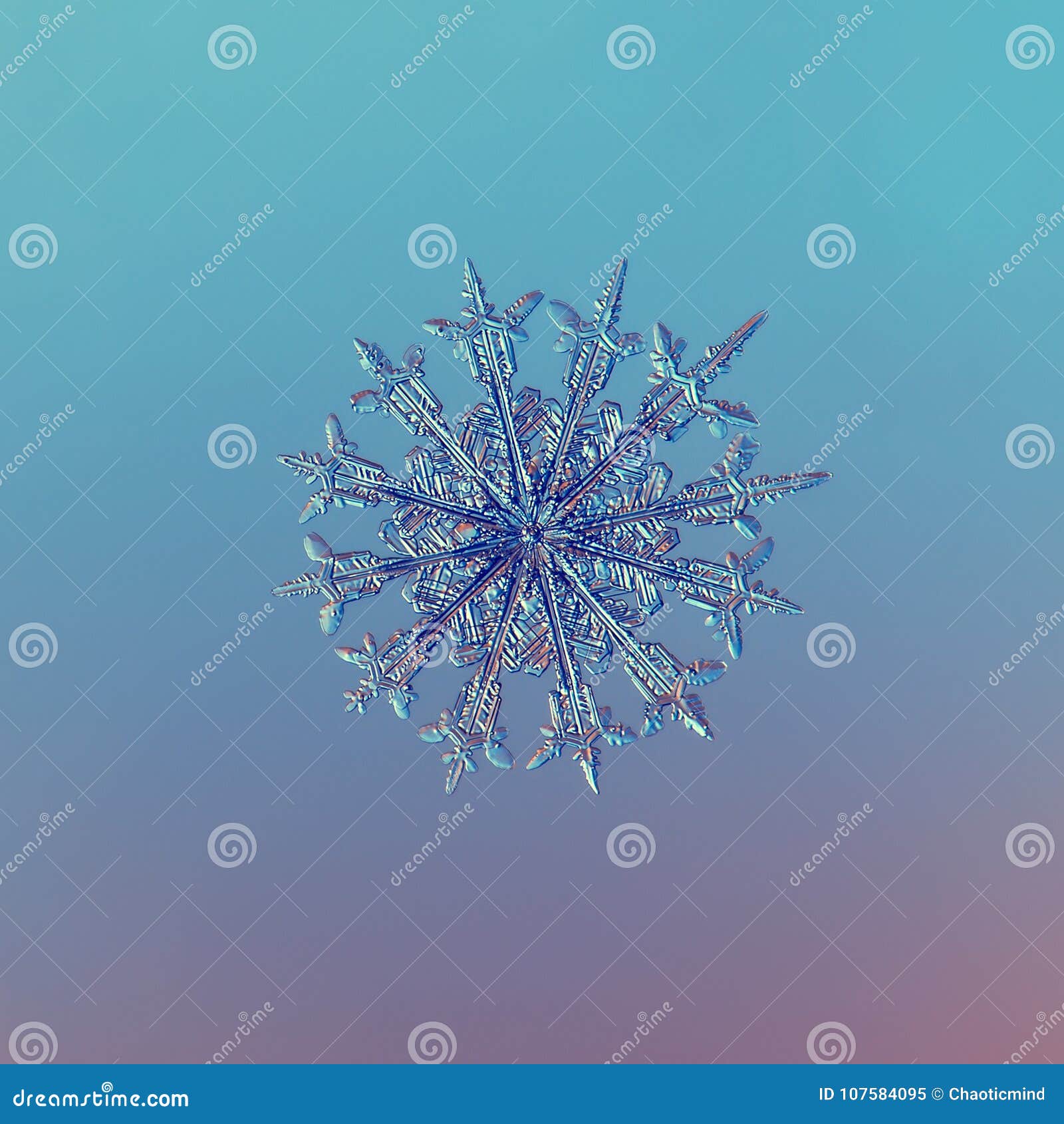 Real Snowflake Glittering on Smooth Gradient Background Stock Image ...