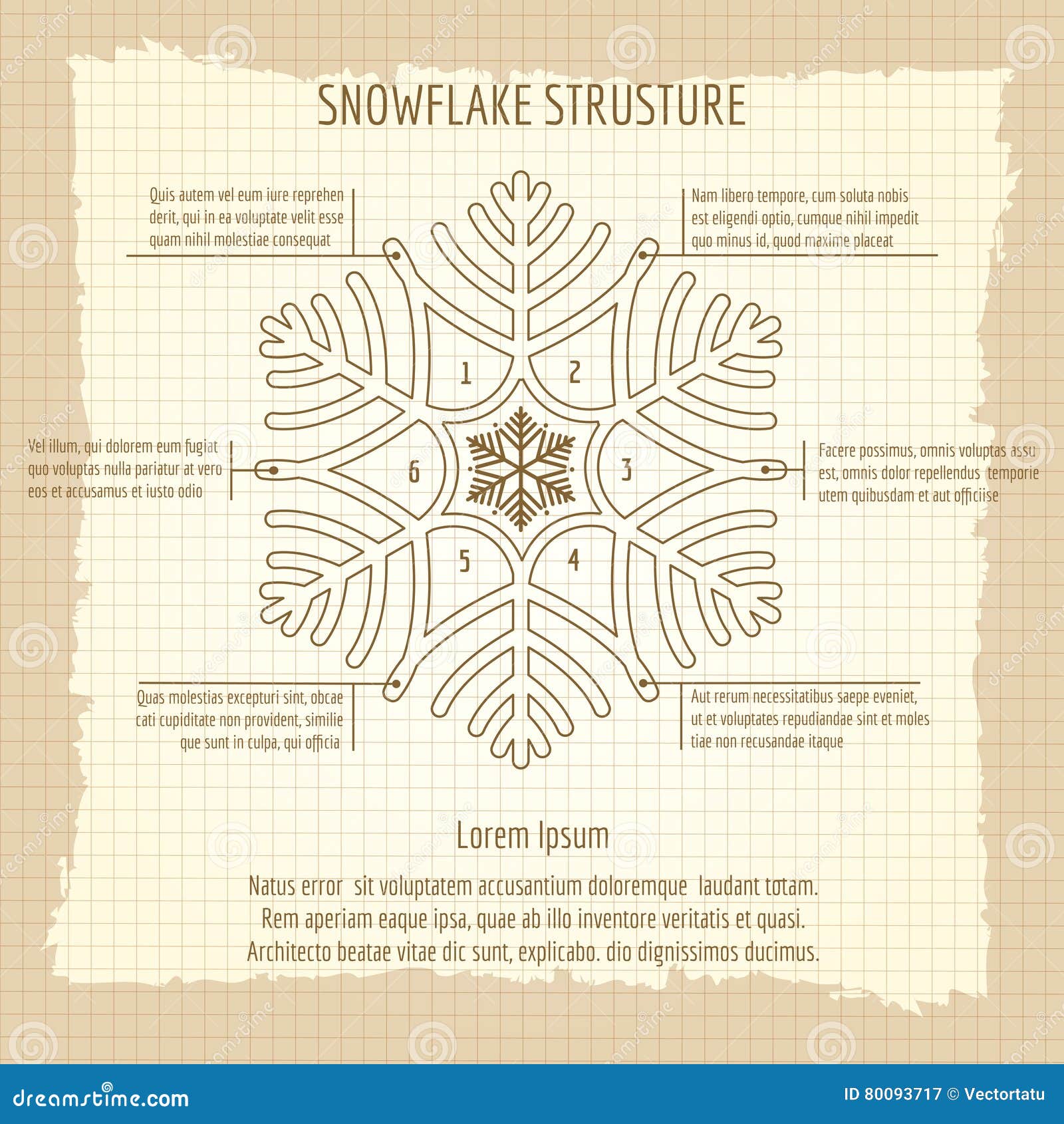 Snowflake Structure Vintage Poster Stock Vector - Illustration of cold ...