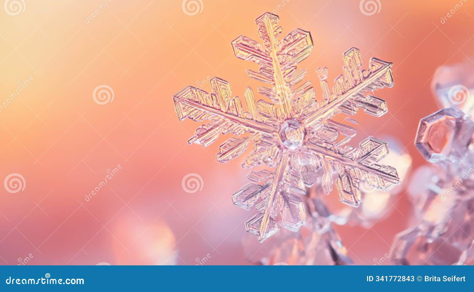 A Snowflake on Sunset Background, Intricate Crystalline Structure ...