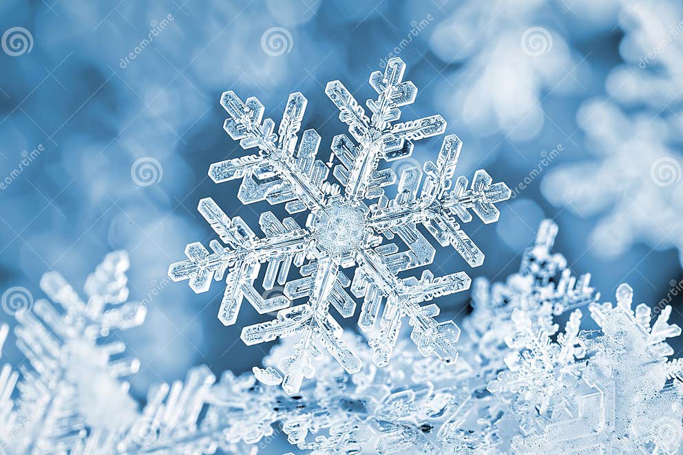 A Snowflake Under a Microscope in the Shape of a Six-pointed Star ...