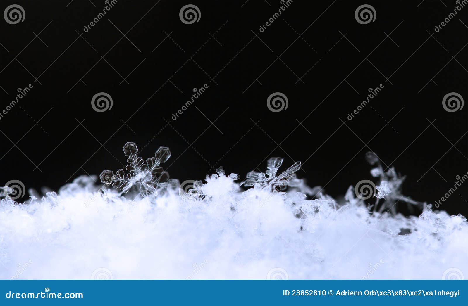 Snowflake in white snow stock photo. Image of still, frozen - 23852810