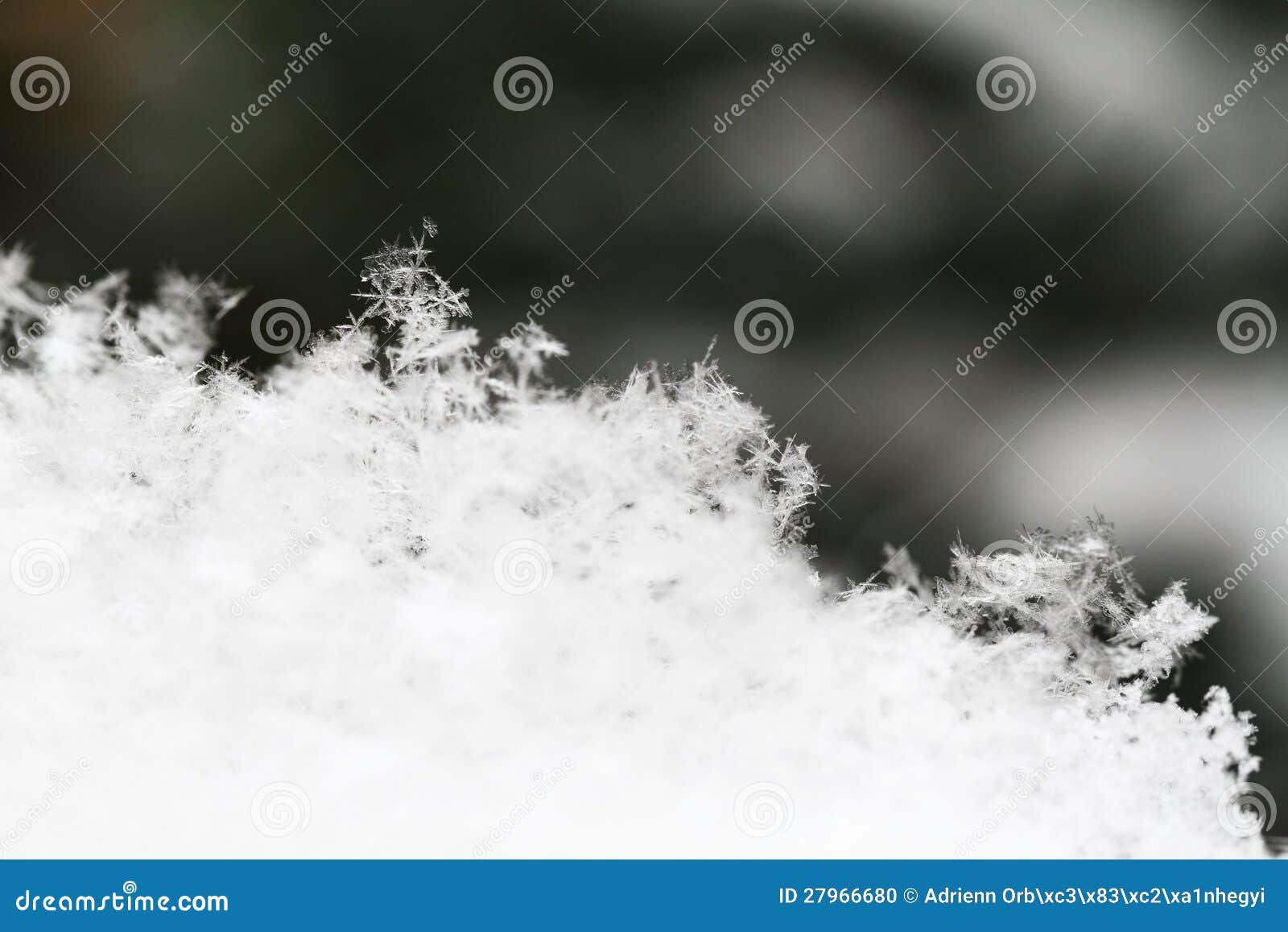 Snowflake in white snow stock photo. Image of snowflake - 27966680