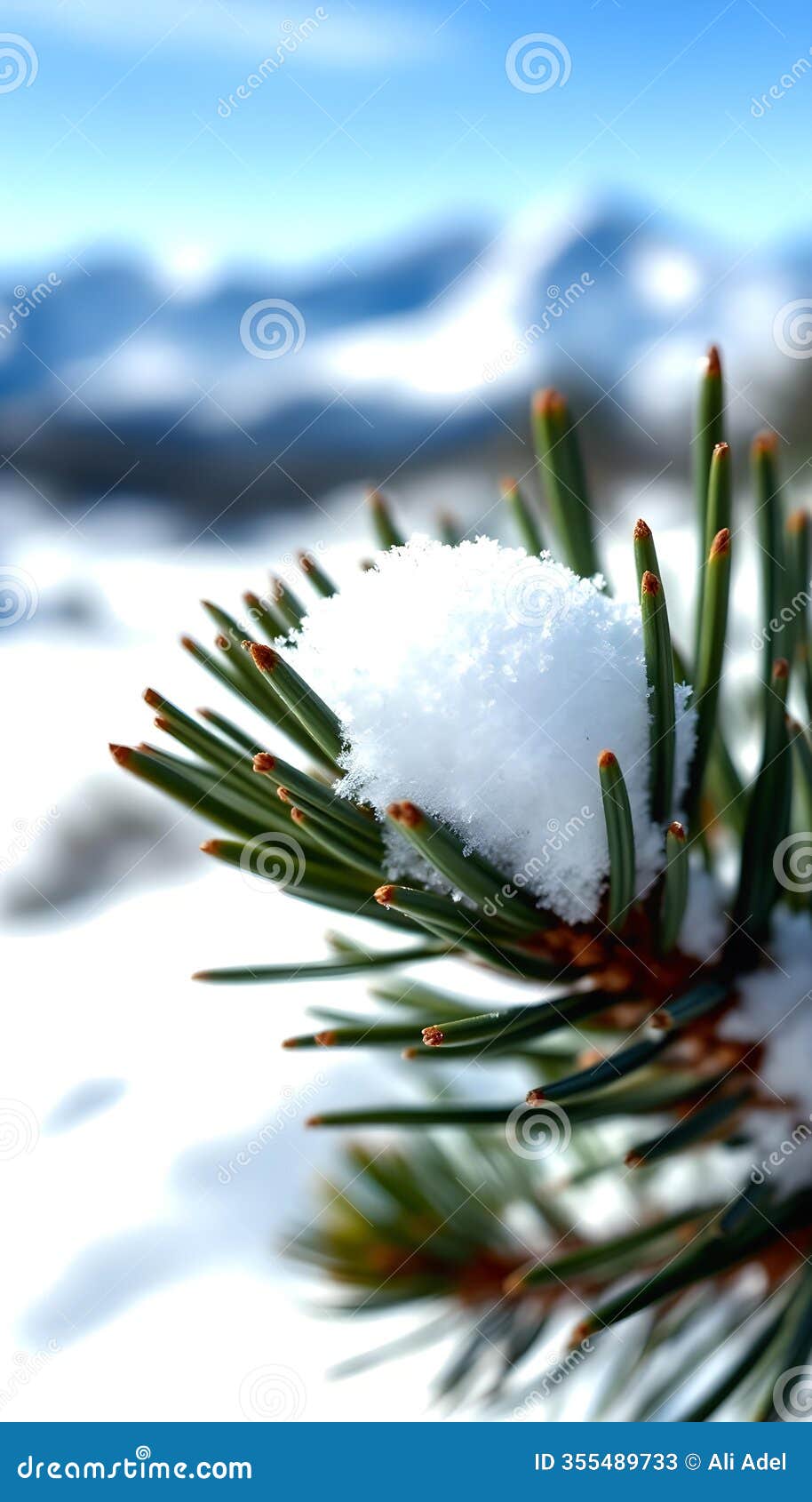 Snowflake on Winter Landscape, Vertical Image Stock Image - Image of ...