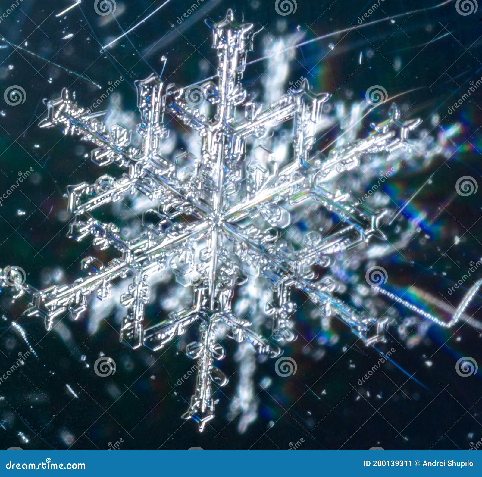 Snowflakes on a Blue Background with Reflection Stock Image - Image of ...