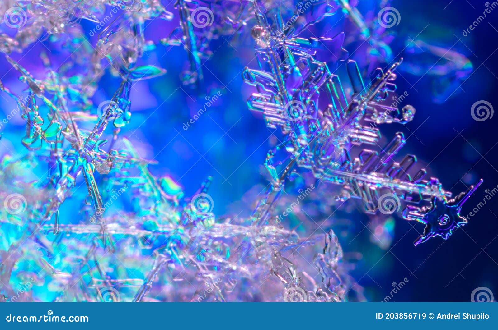 Snowflakes on a Blue Background with Reflection Stock Image - Image of ...