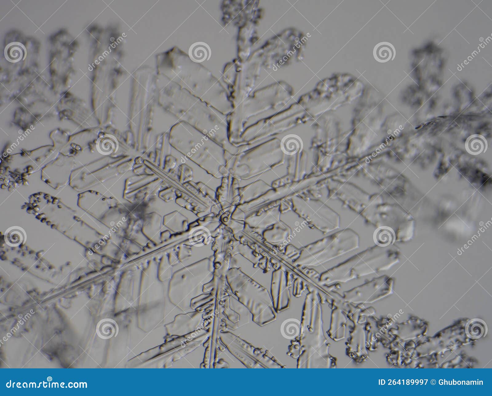 Snowflakes Extreme Close-up of Real Crystal Snowflake Stock Image ...