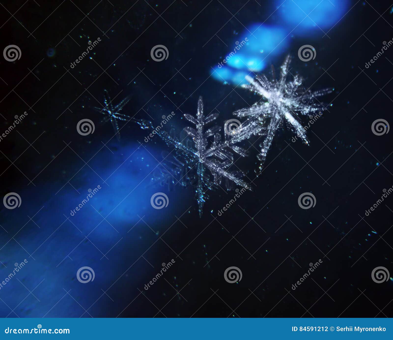 Snowflakes Family Flying through Universe Stock Photo - Image of close ...