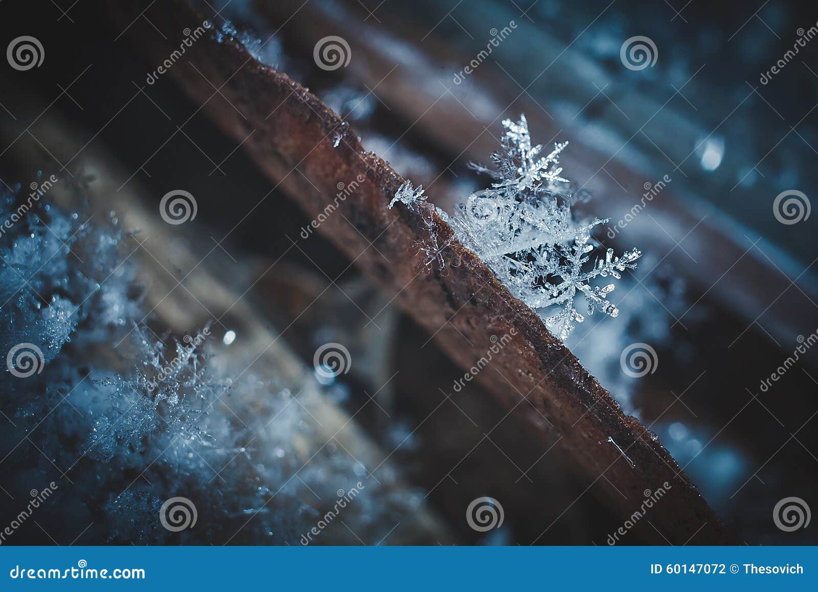 Snowflakes stock photo. Image of speed, lightness, cold - 60147072