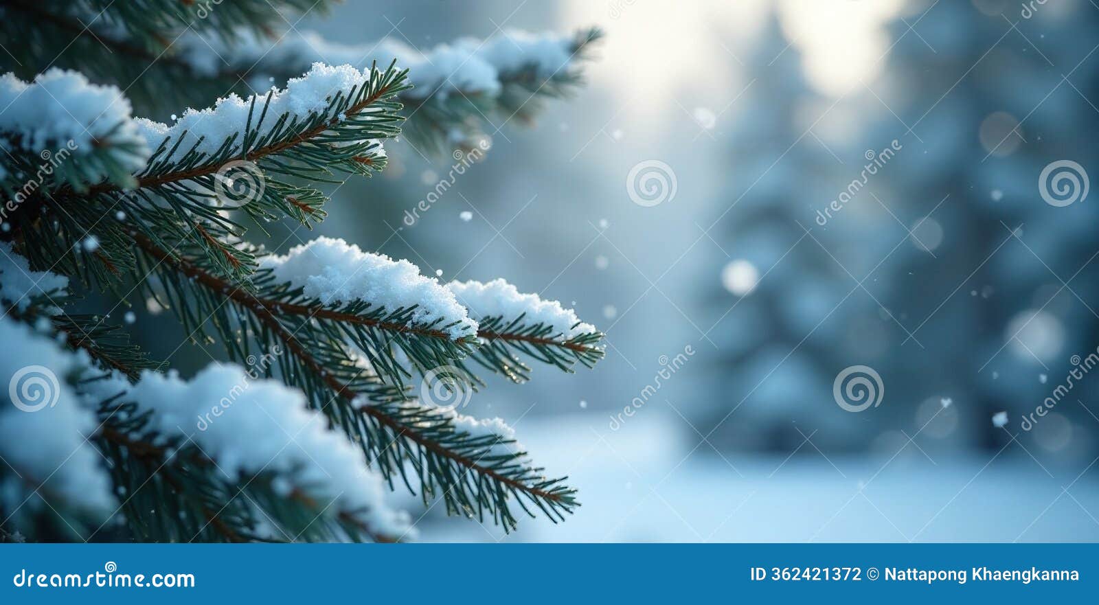 Snowflakes Gently Fall In A Serene Winter Scene, Creating A Peaceful ...