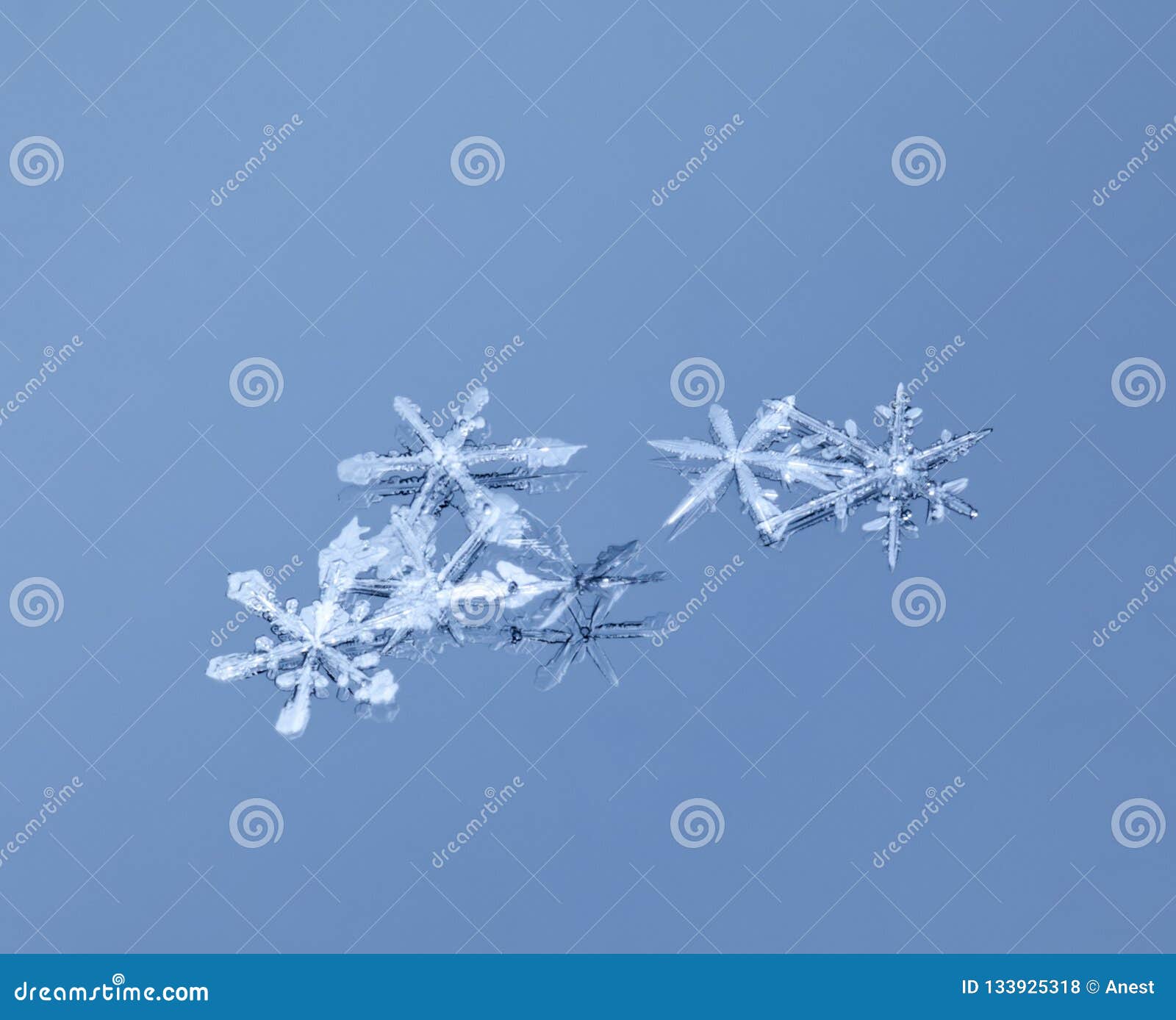 Snowflakes group stock photo. Image of blue, closeup - 133925318