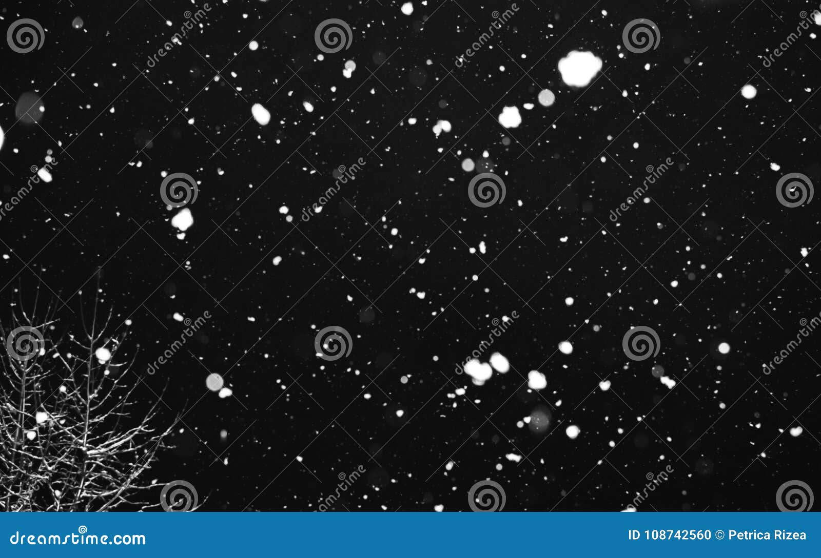 Snowflakes at night stock photo. Image of design, falling - 108742560