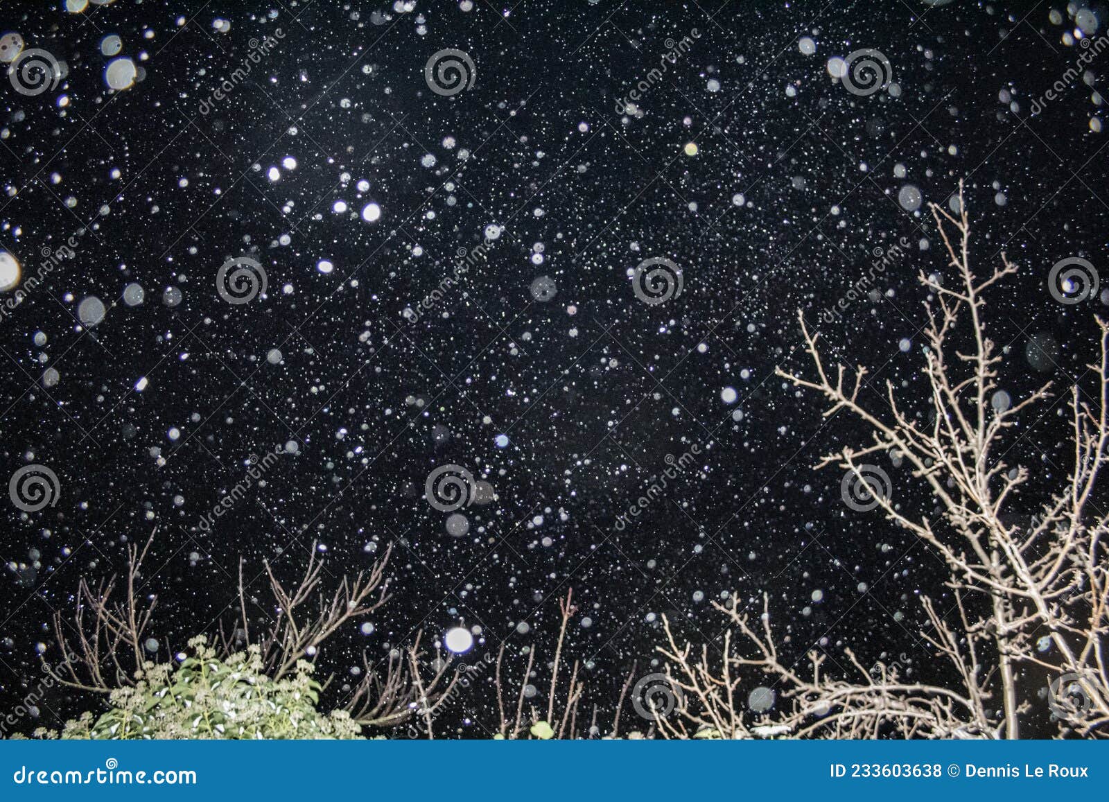 Snowflakes at night stock photo. Image of sunlight, screenshot - 233603638